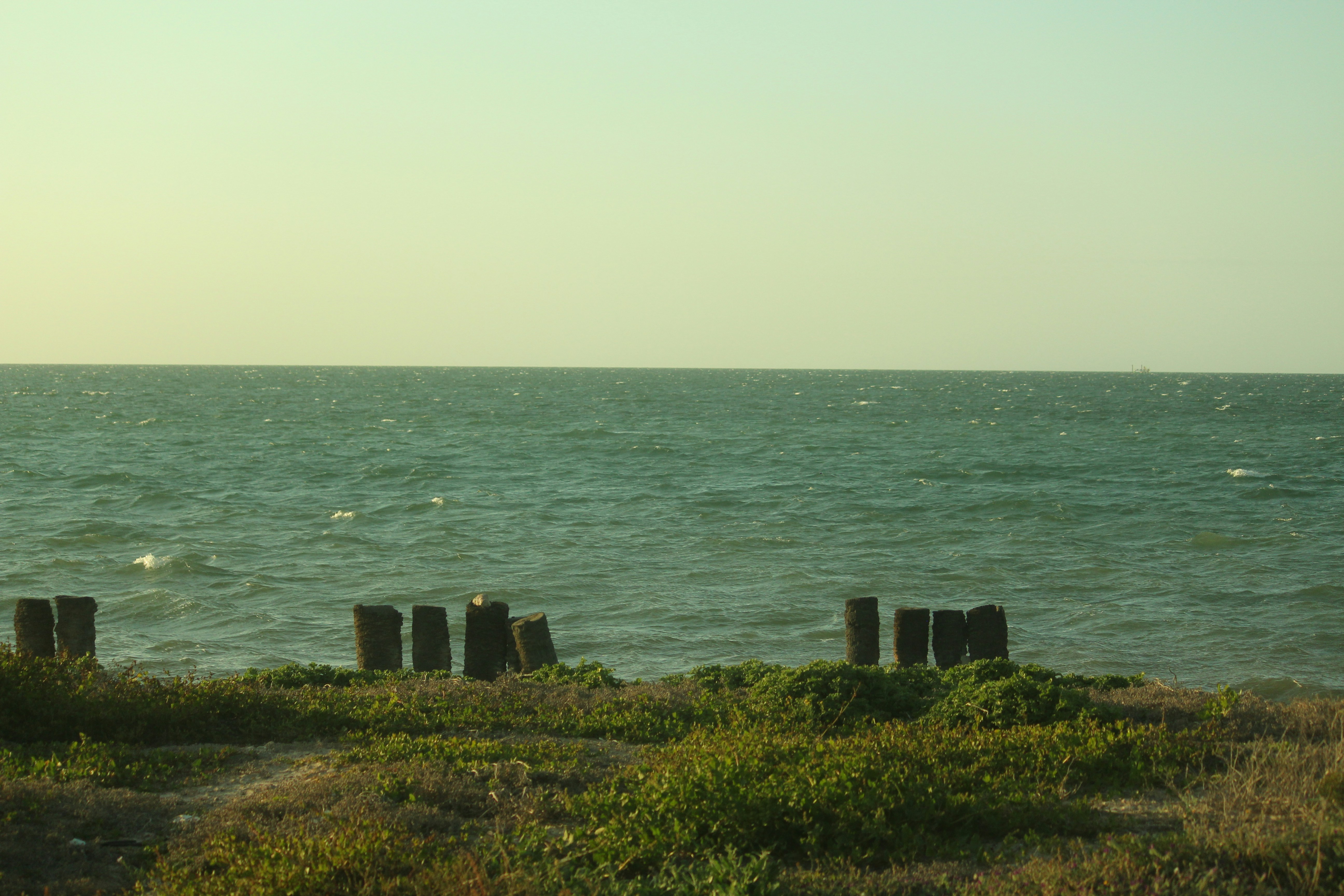 Coastal Marker: Weathered Posts Guarding a Quiet Shore