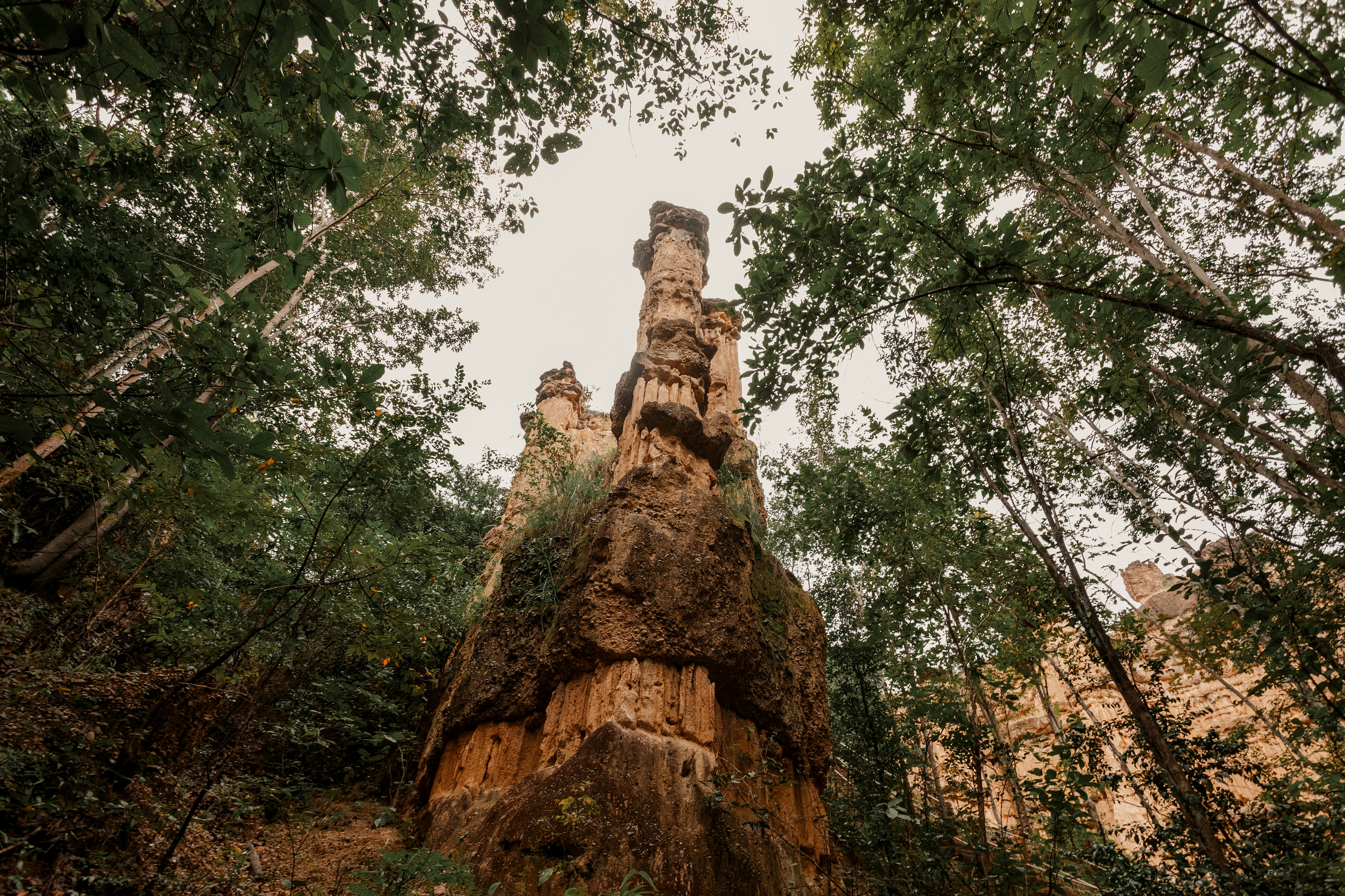 Photo by Rowan Heuvel with Canon EOS 5D Mark II