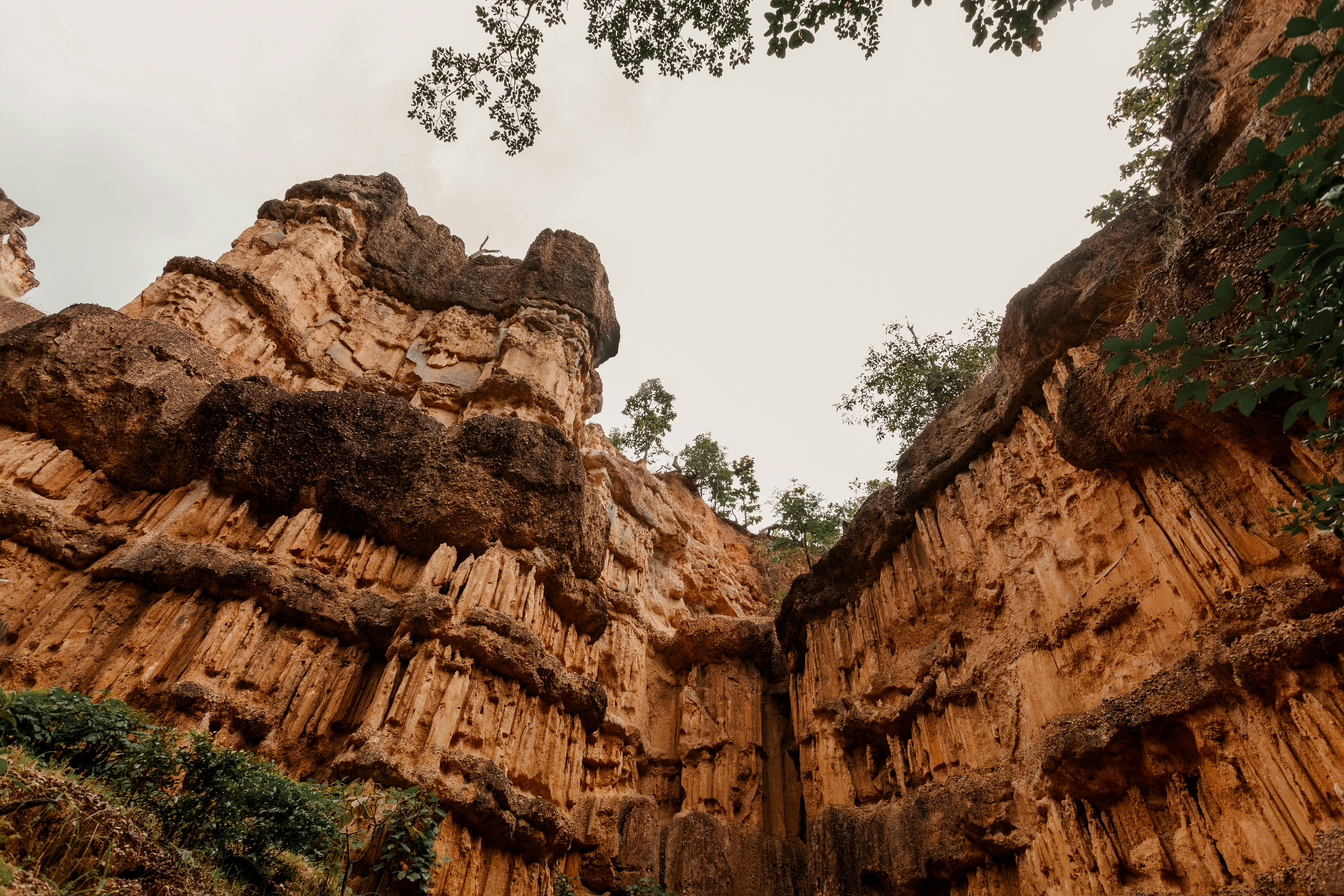 Photo by Rowan Heuvel with Canon EOS 5D Mark II