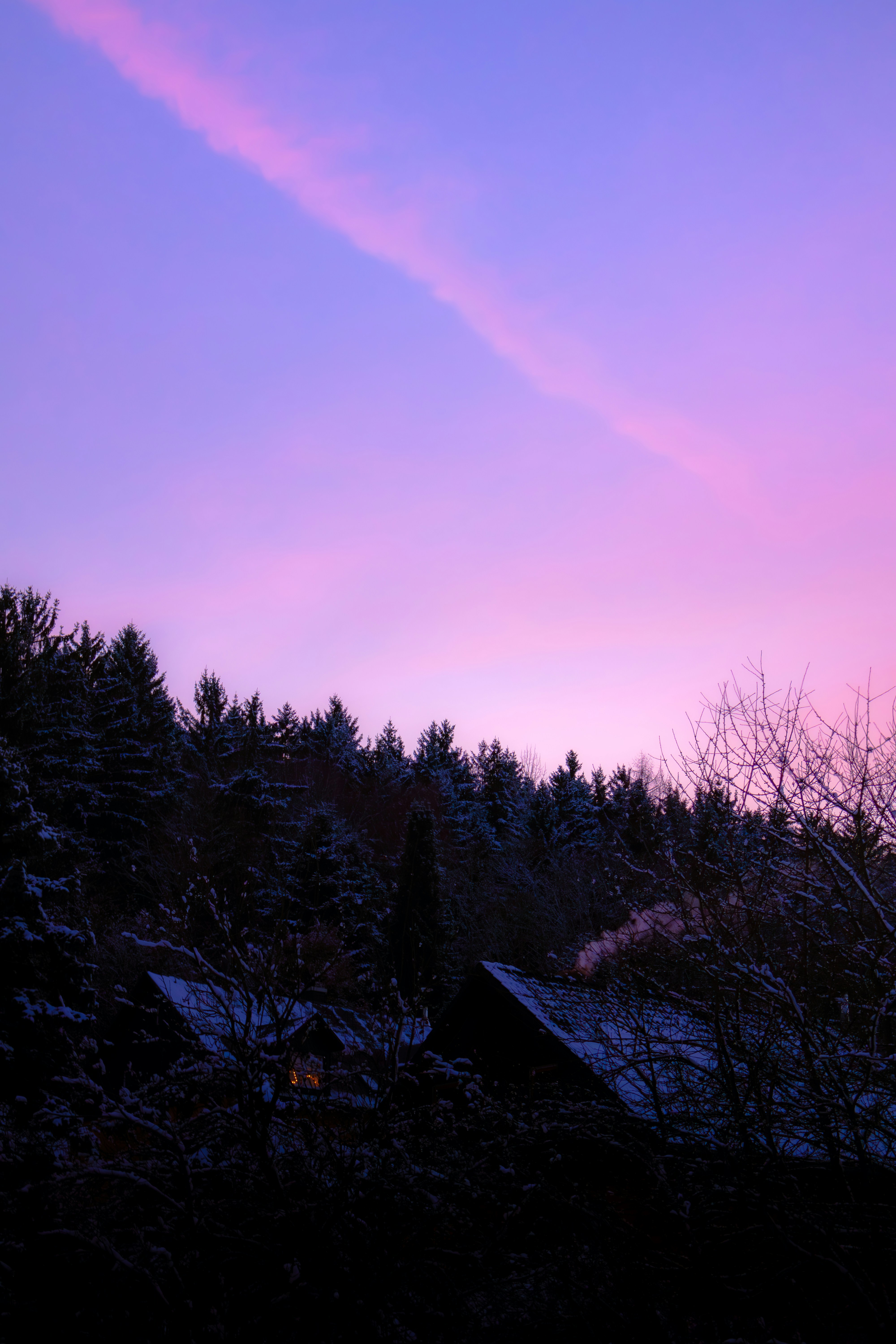 Pink-Blue Dusk Above Snow-Stamped Pines