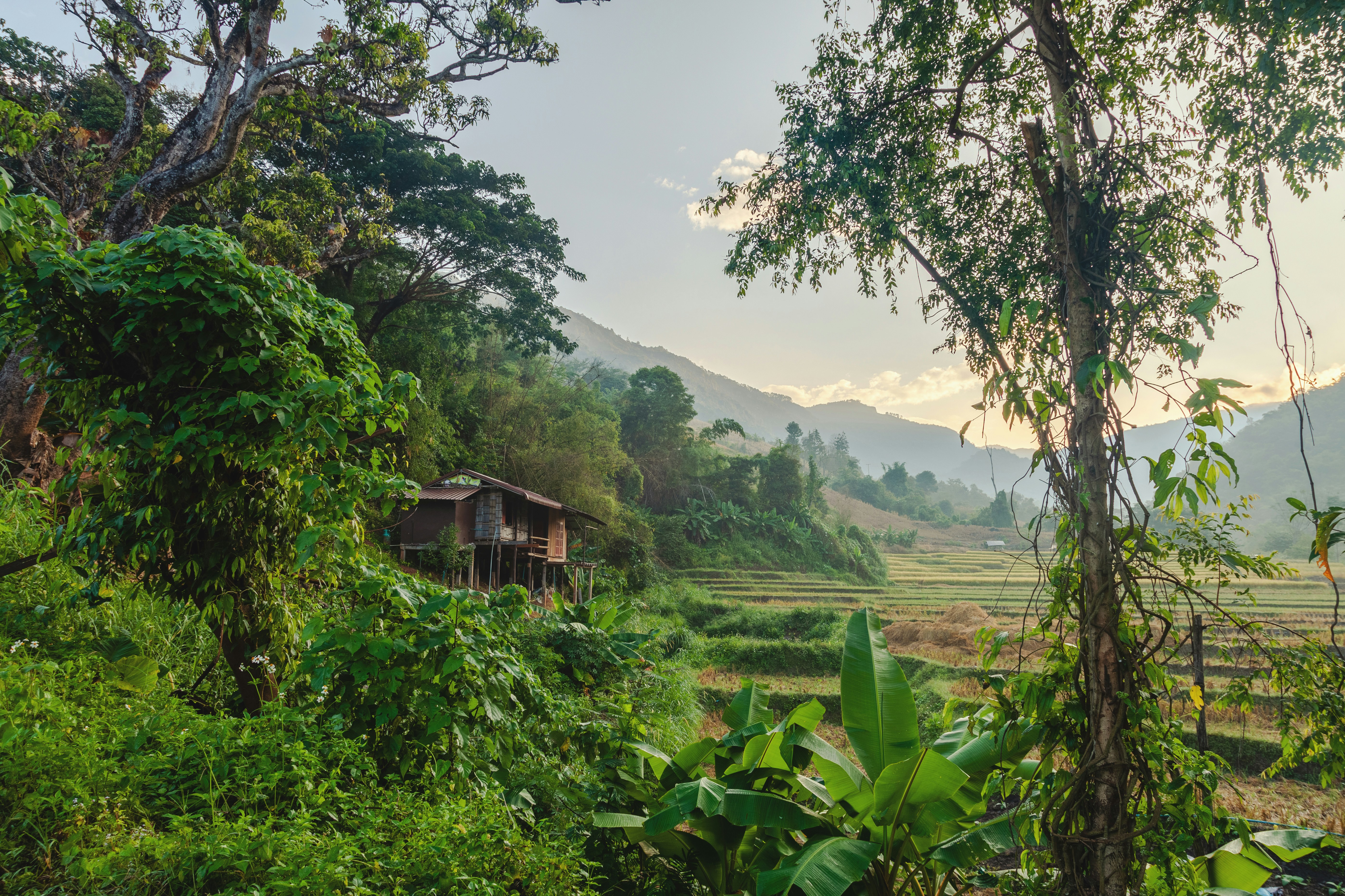 Photo by Rowan Heuvel with Canon EOS 5D Mark II