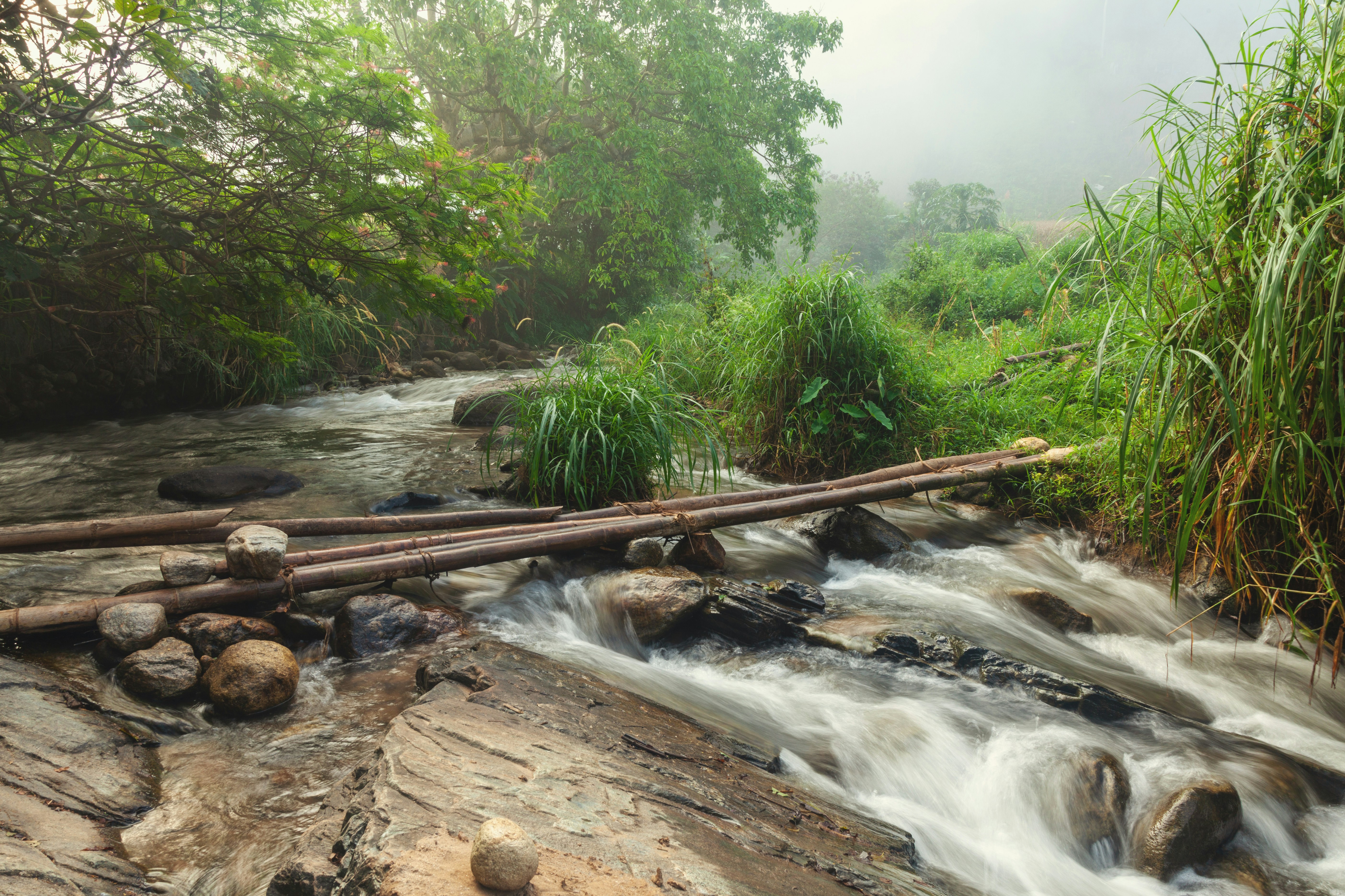Photo by Rowan Heuvel with Canon EOS 5D Mark II