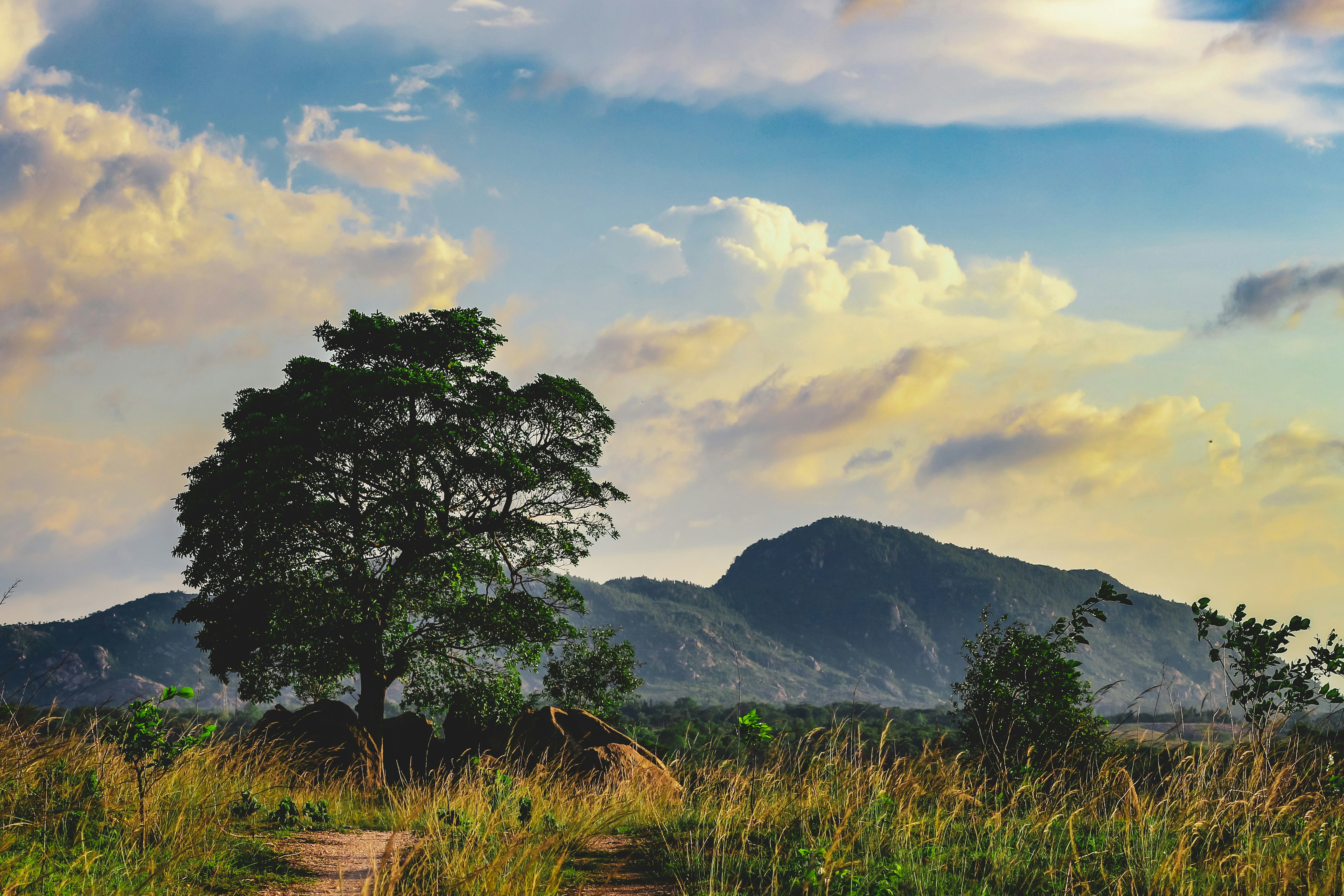 Photo by Biswanath Mahato with Canon EOS 700D