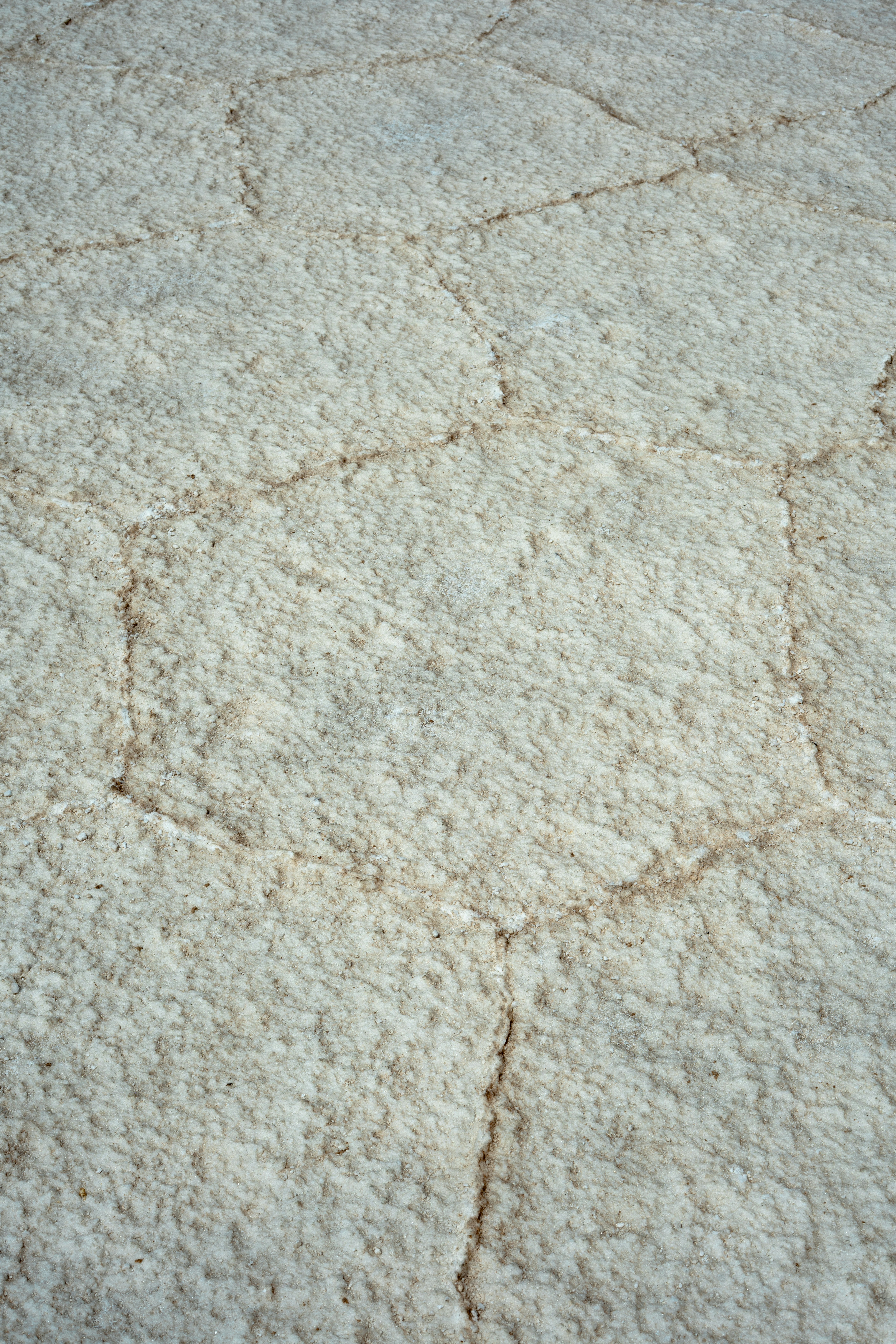 Close-up texture of the cracked salt surface at Salinas Grandes, forming natural geometric patterns in the desert.