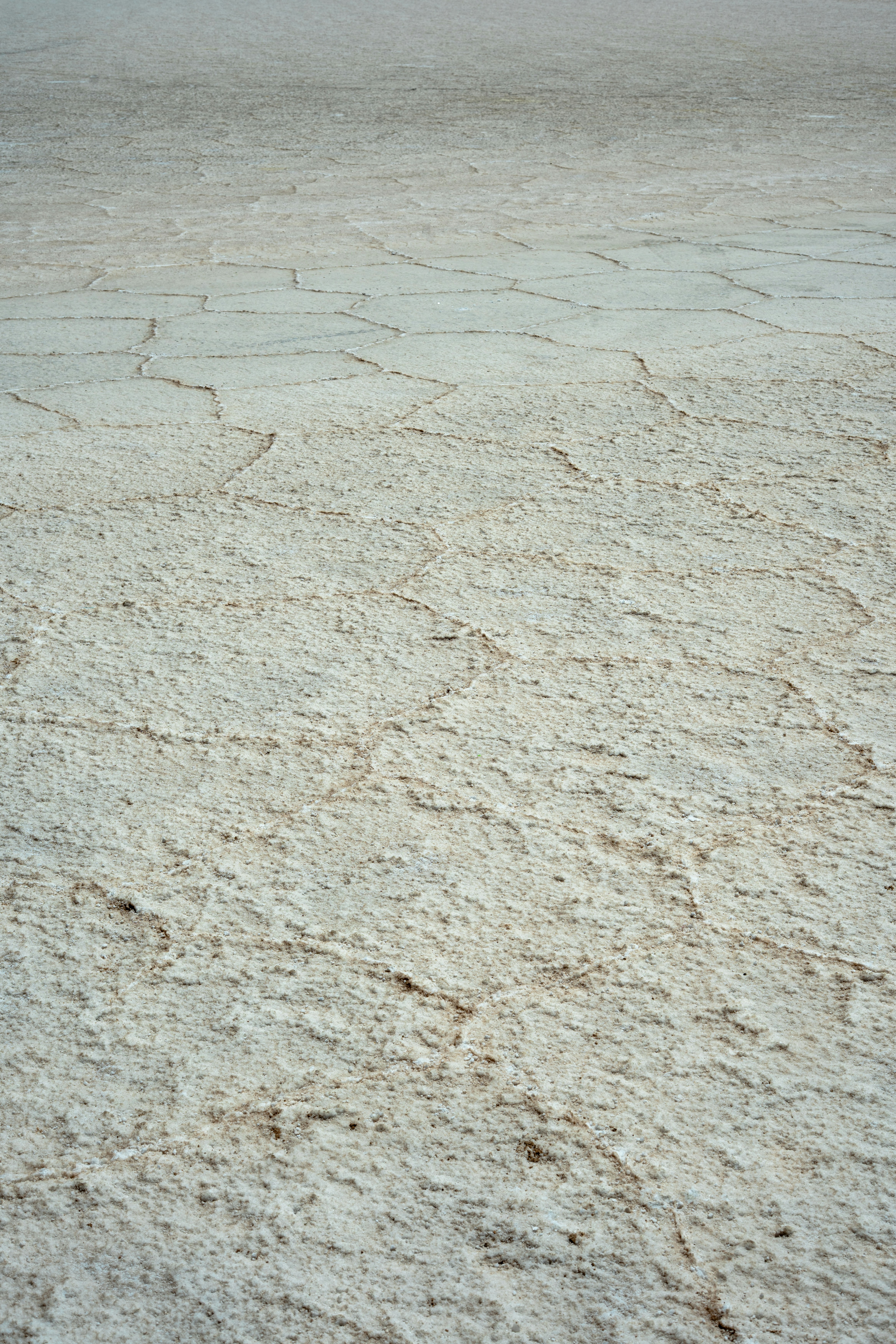 salinas grandes, salt flats, argentina, texture, cracked earth, geometric pattern, desert, white surface, minimalism, nature texture, abstract, high altitude