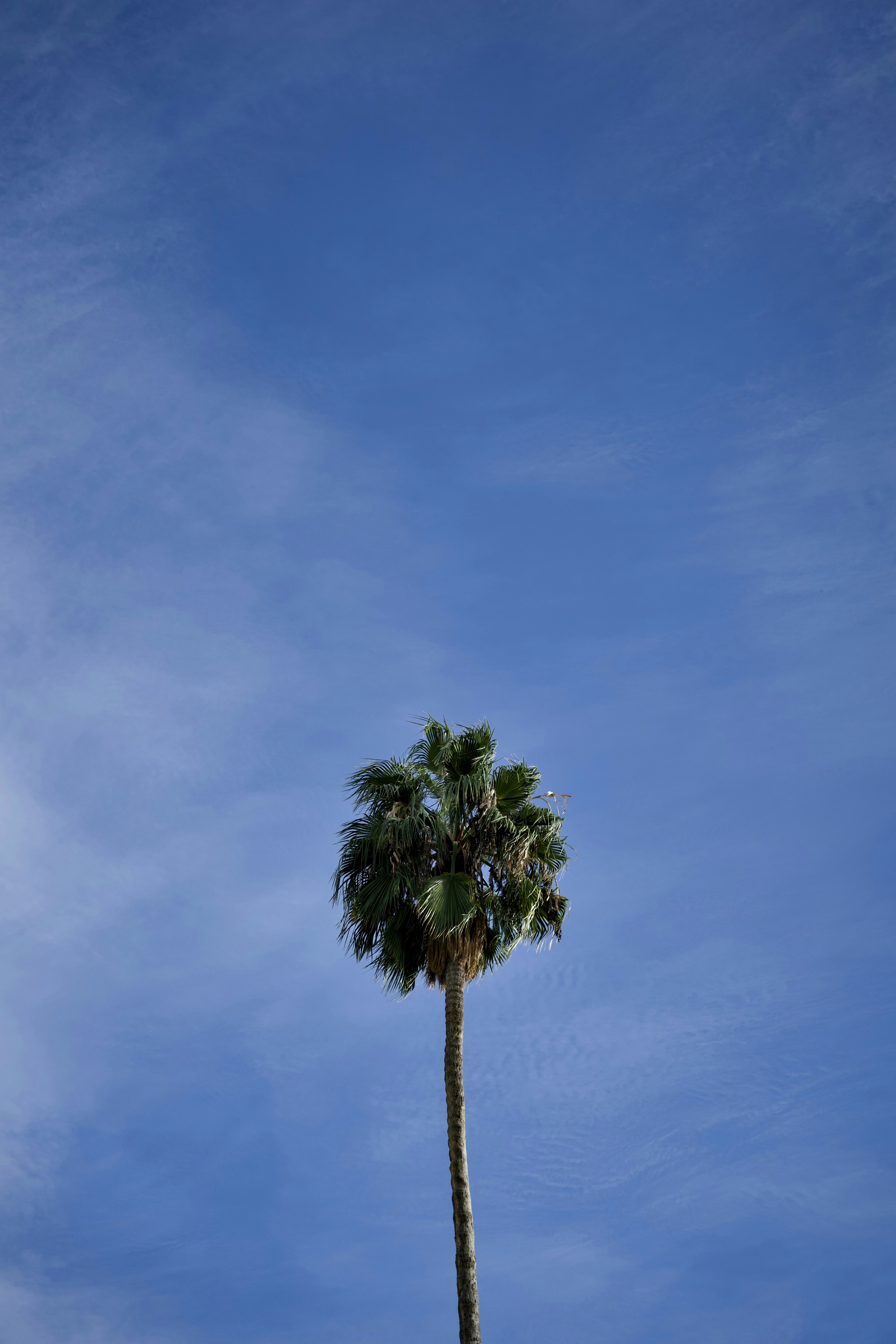 Photo by GV Chana with Sony Alpha 7 III