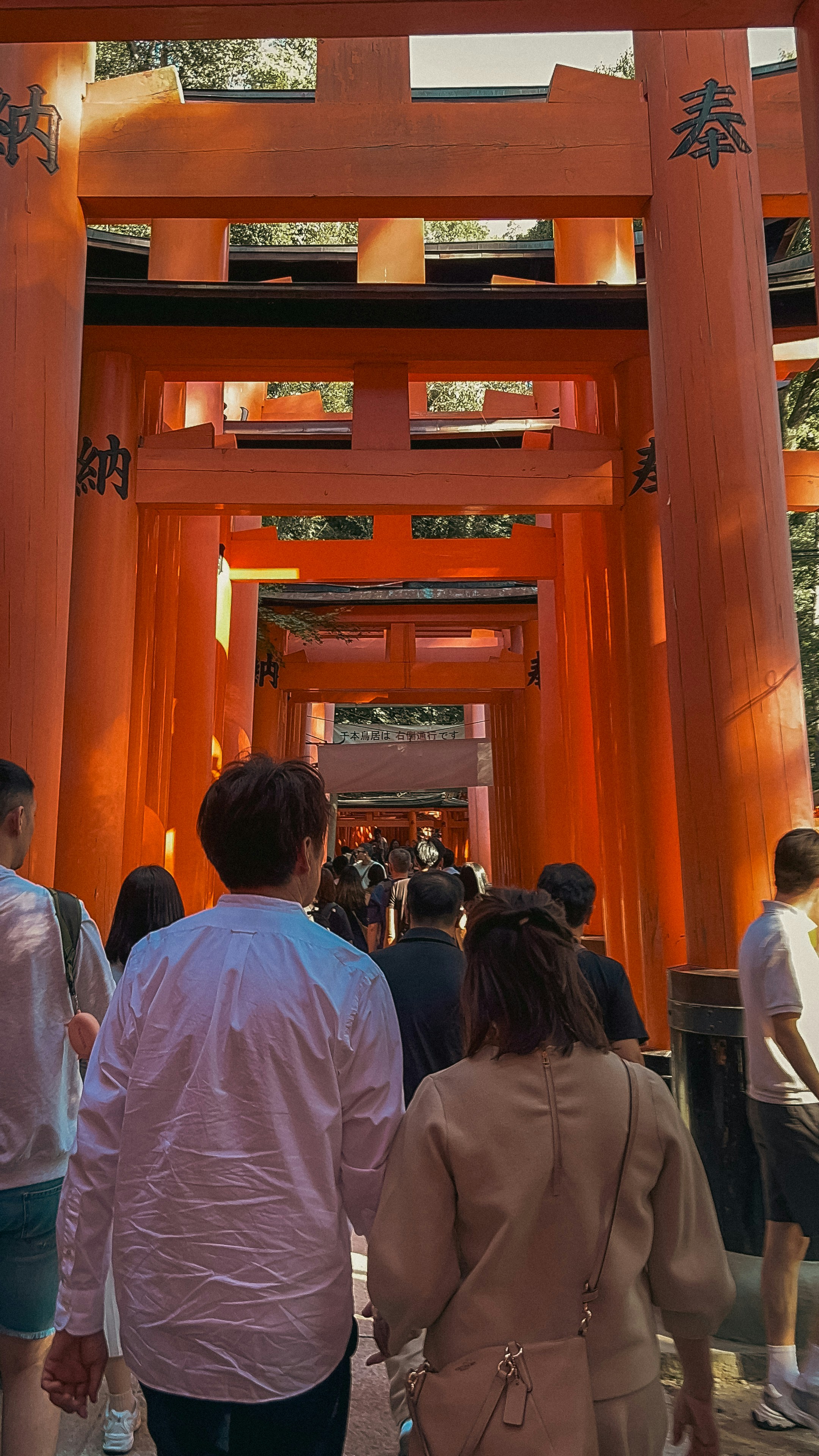 Red Tunnel of Tranquility: A Corridor of Torii Amid Human Flow