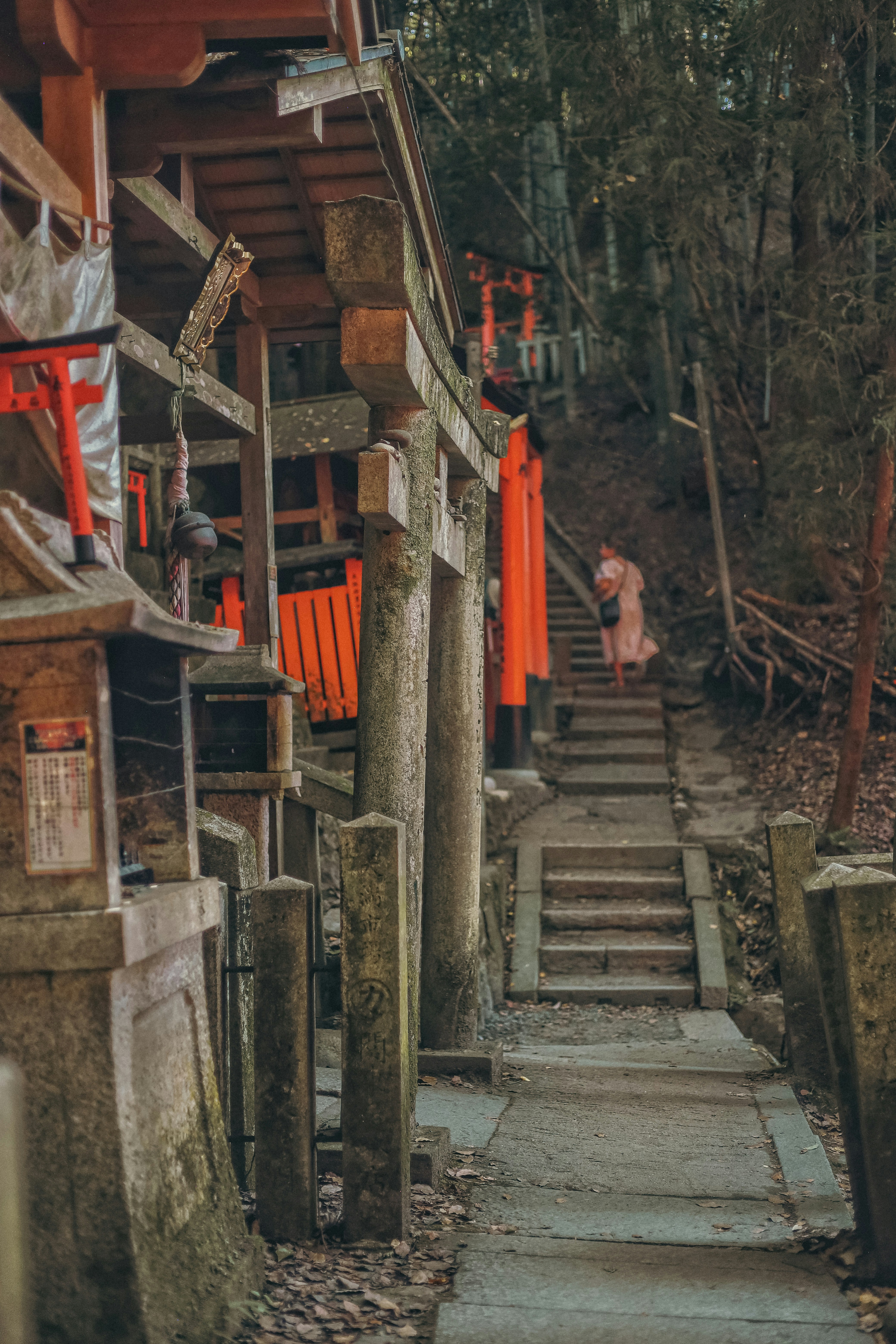 Red Lantern Path: An Ancient Staircase Through a Shrouded Shrine