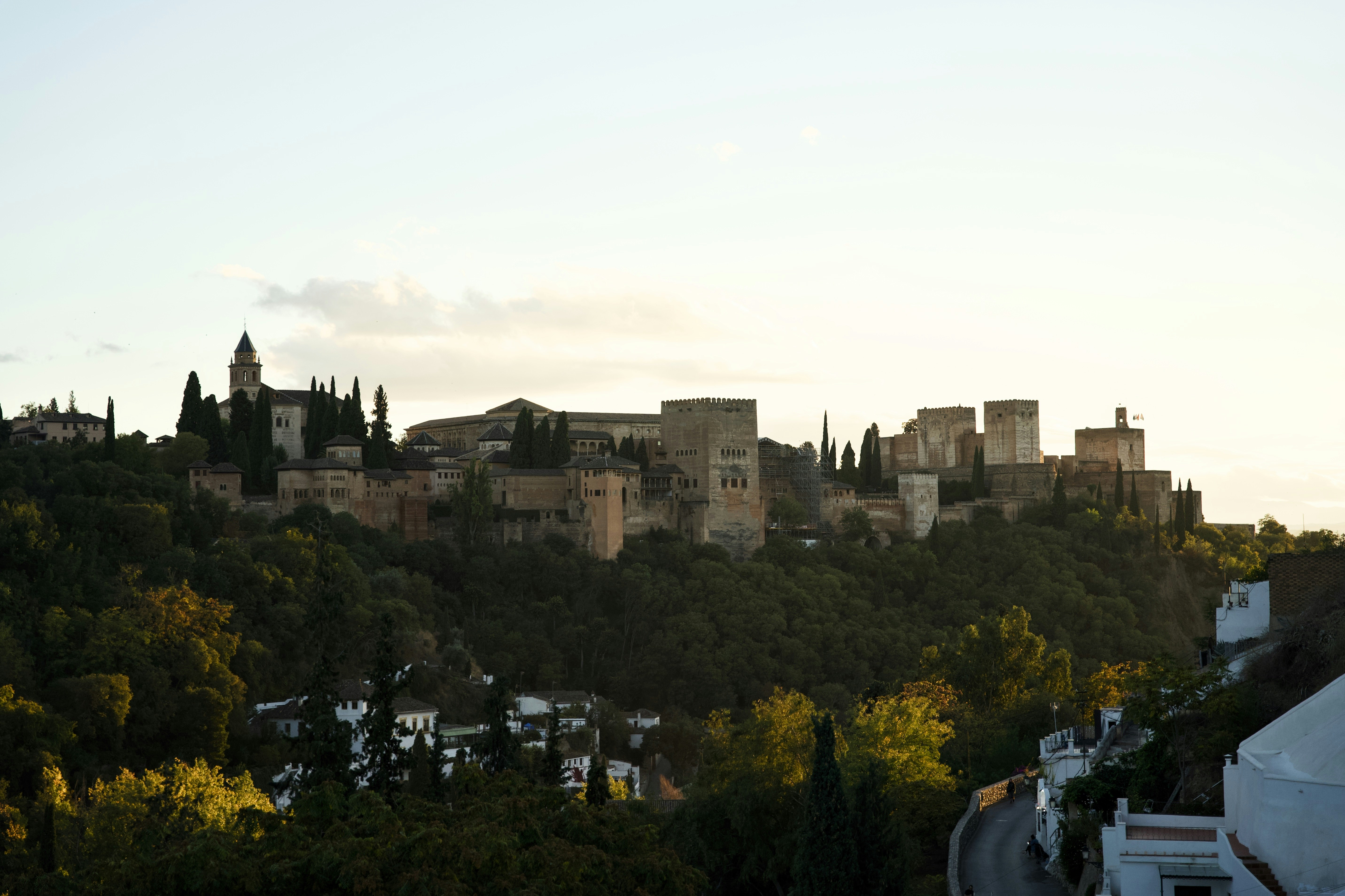 Photo by GV Chana with Sony Alpha 7 III