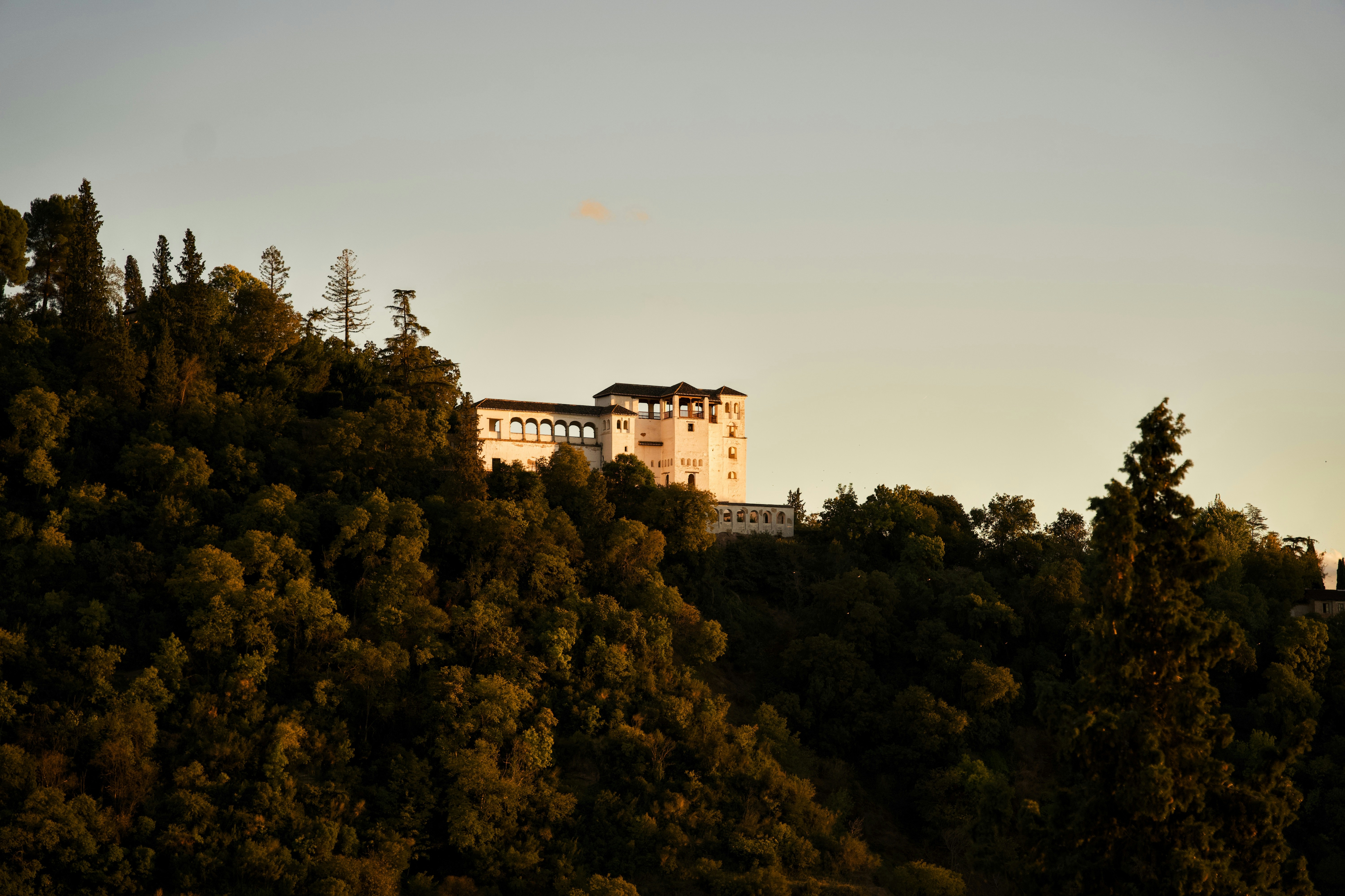 Photo by GV Chana with Sony Alpha 7 III