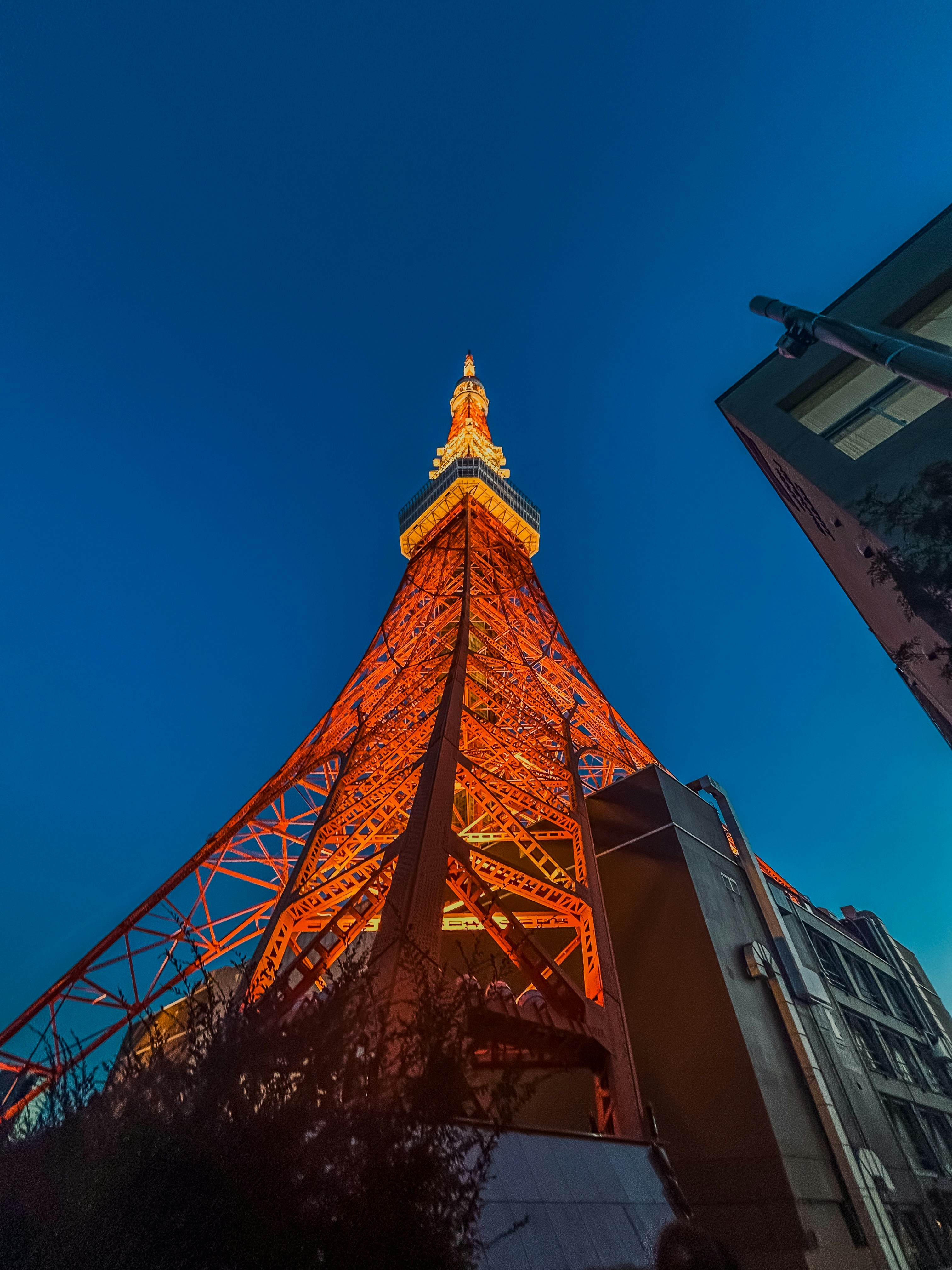 Una buena toma de la torre tolio