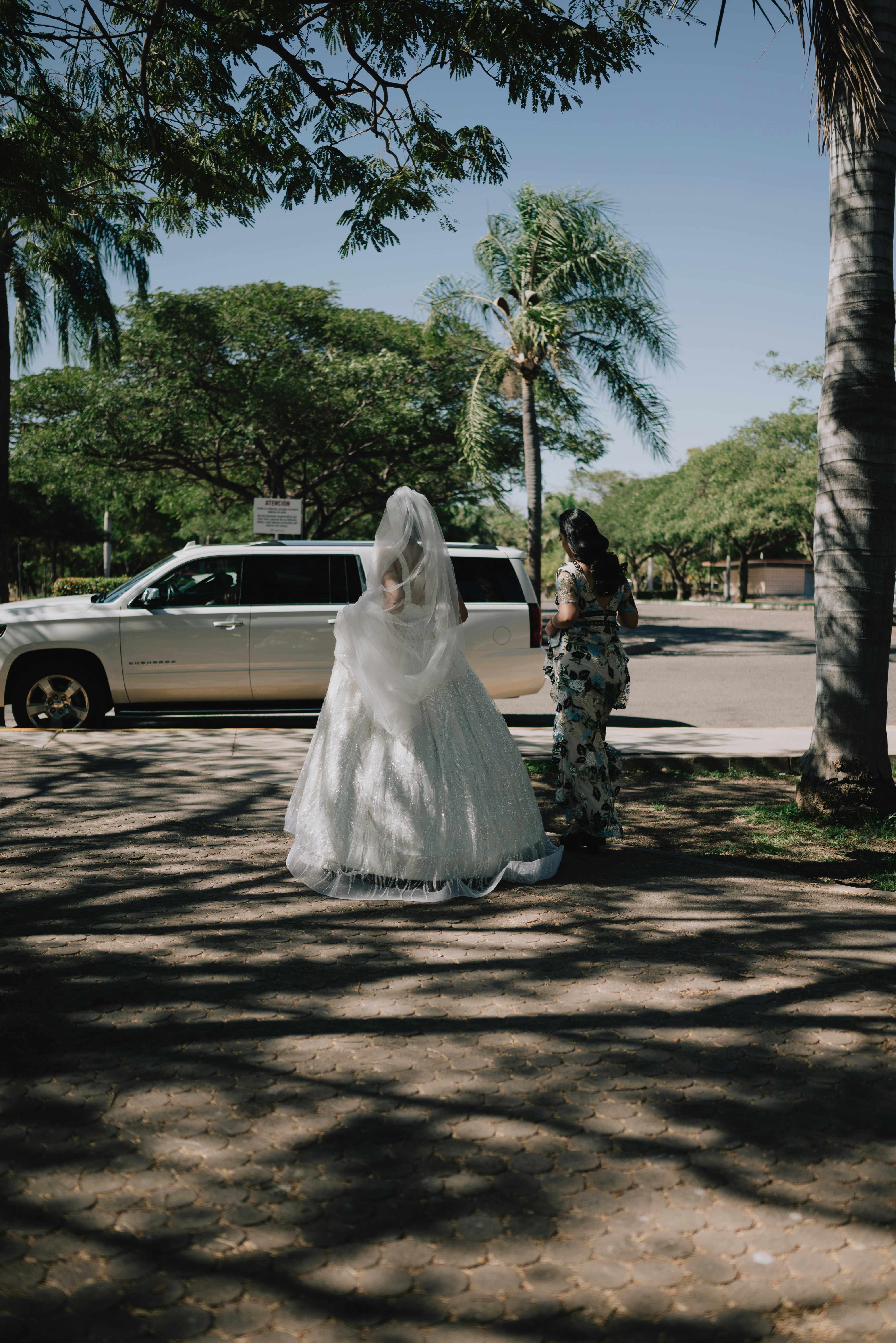 Bride and bridal party at the park-side reception