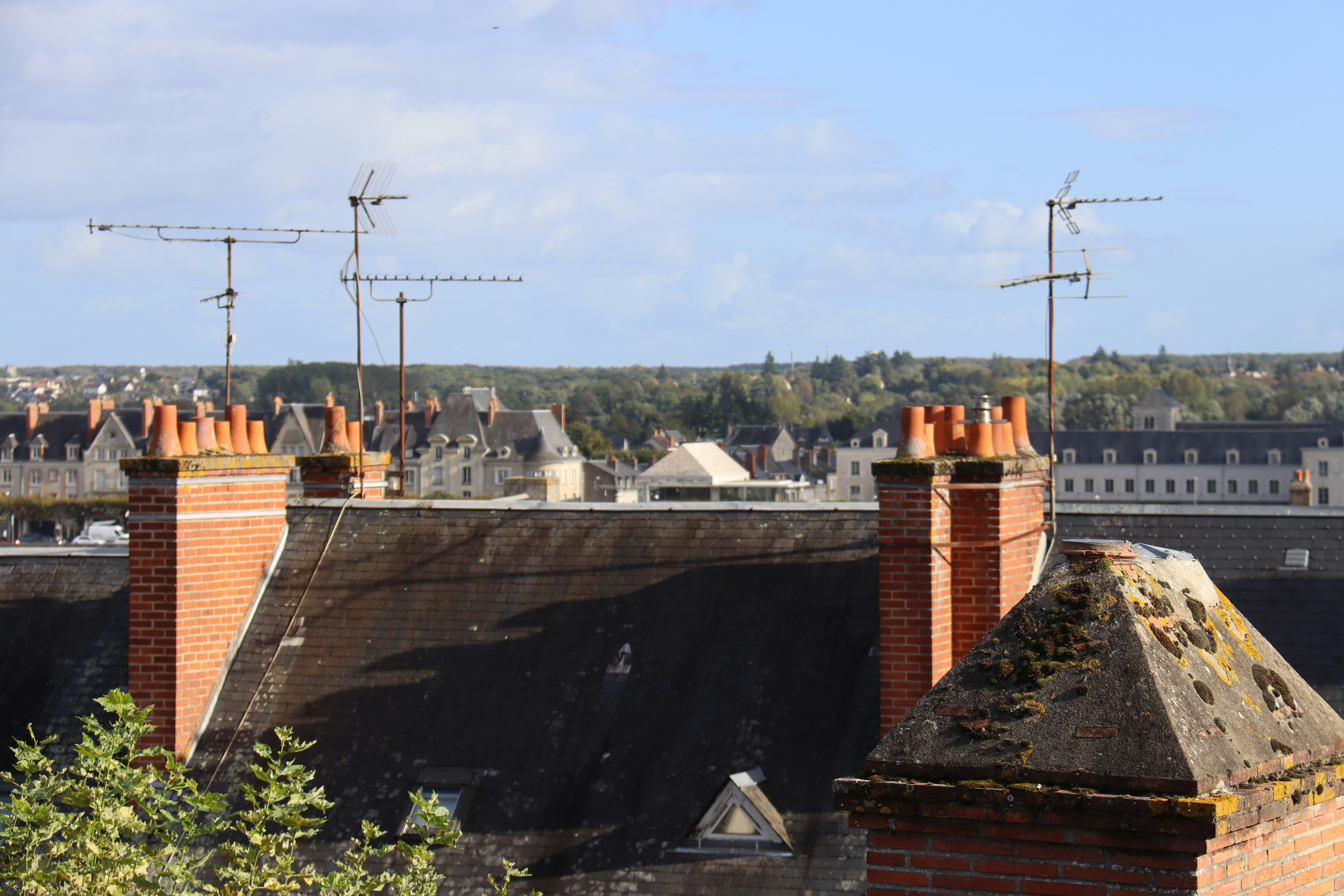 Photo by Shalev Cohen with Canon EOS 850D