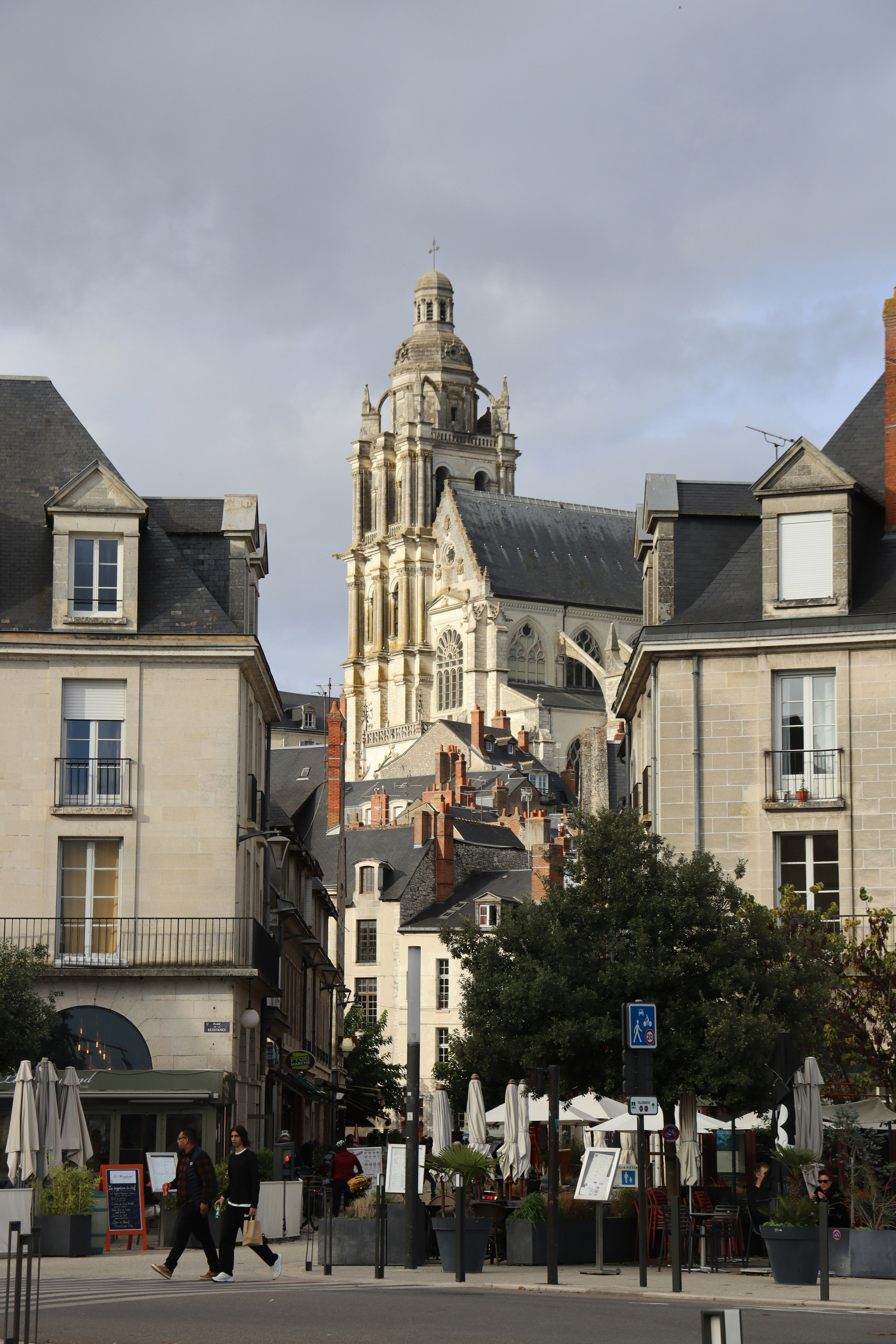 Photo by Shalev Cohen with Canon EOS 850D