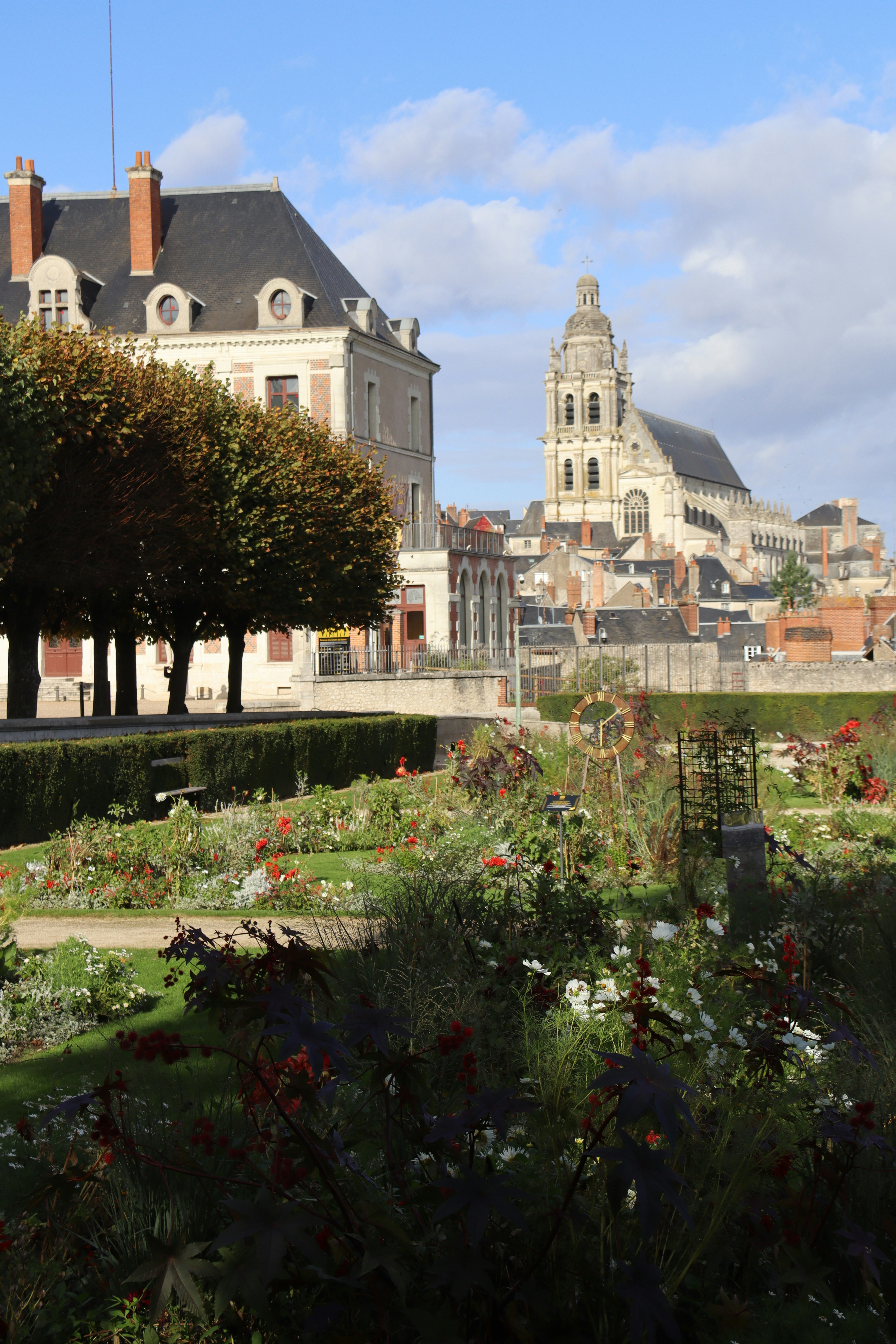 Charming European Townscape: Velvet Boulevards and a Clocktower
