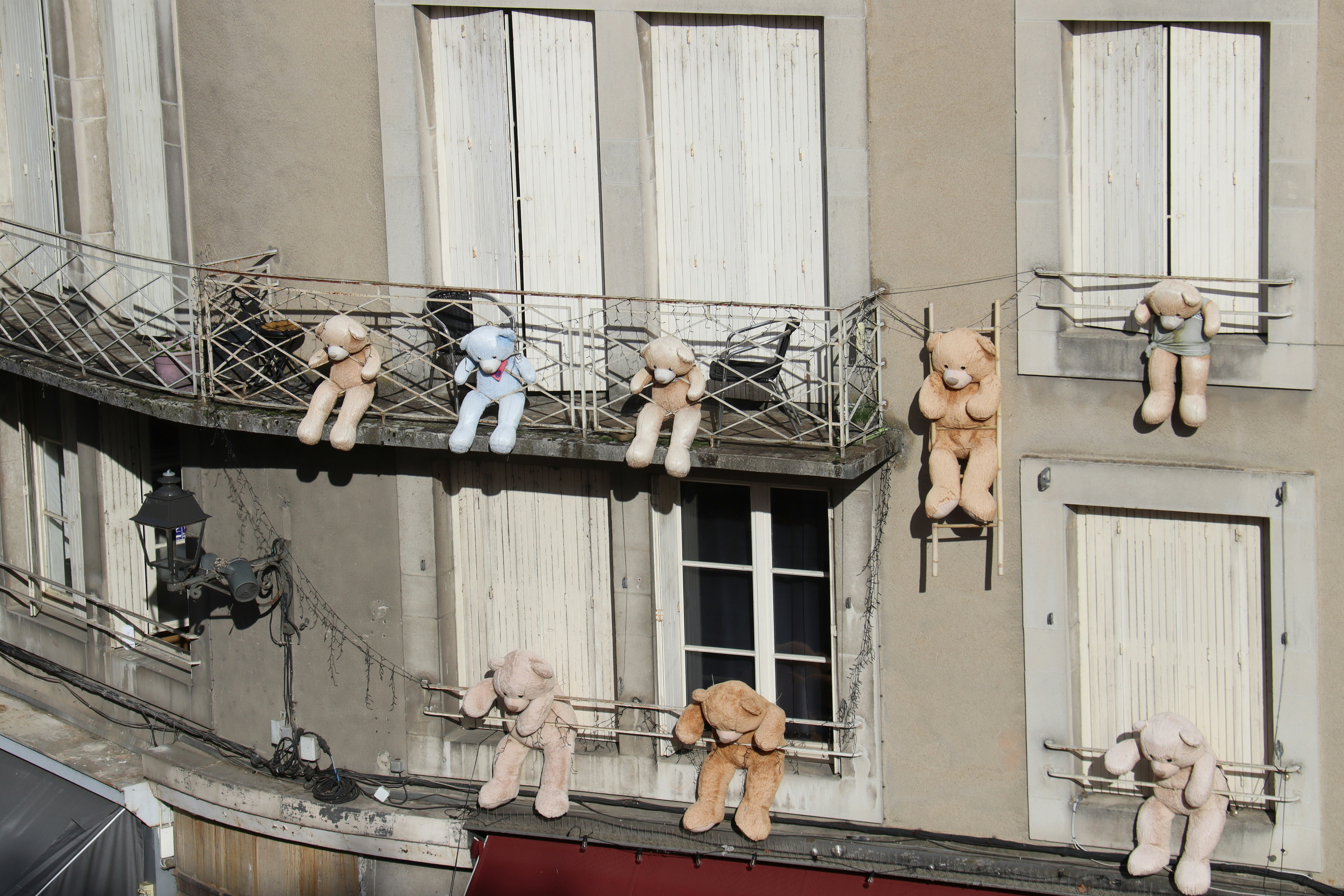 Photo by Shalev Cohen with Canon EOS 850D