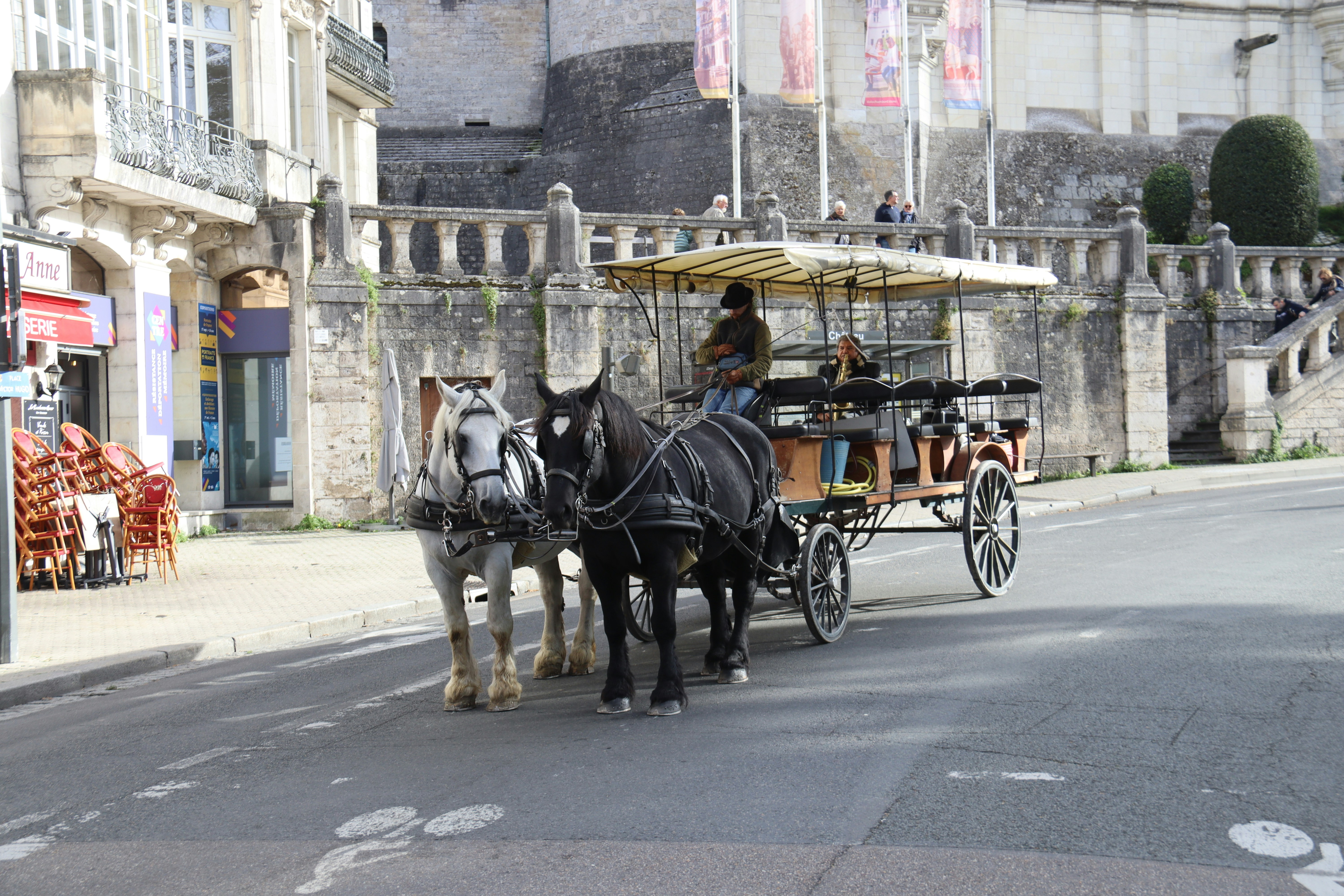 Photo by Shalev Cohen with Canon EOS 850D