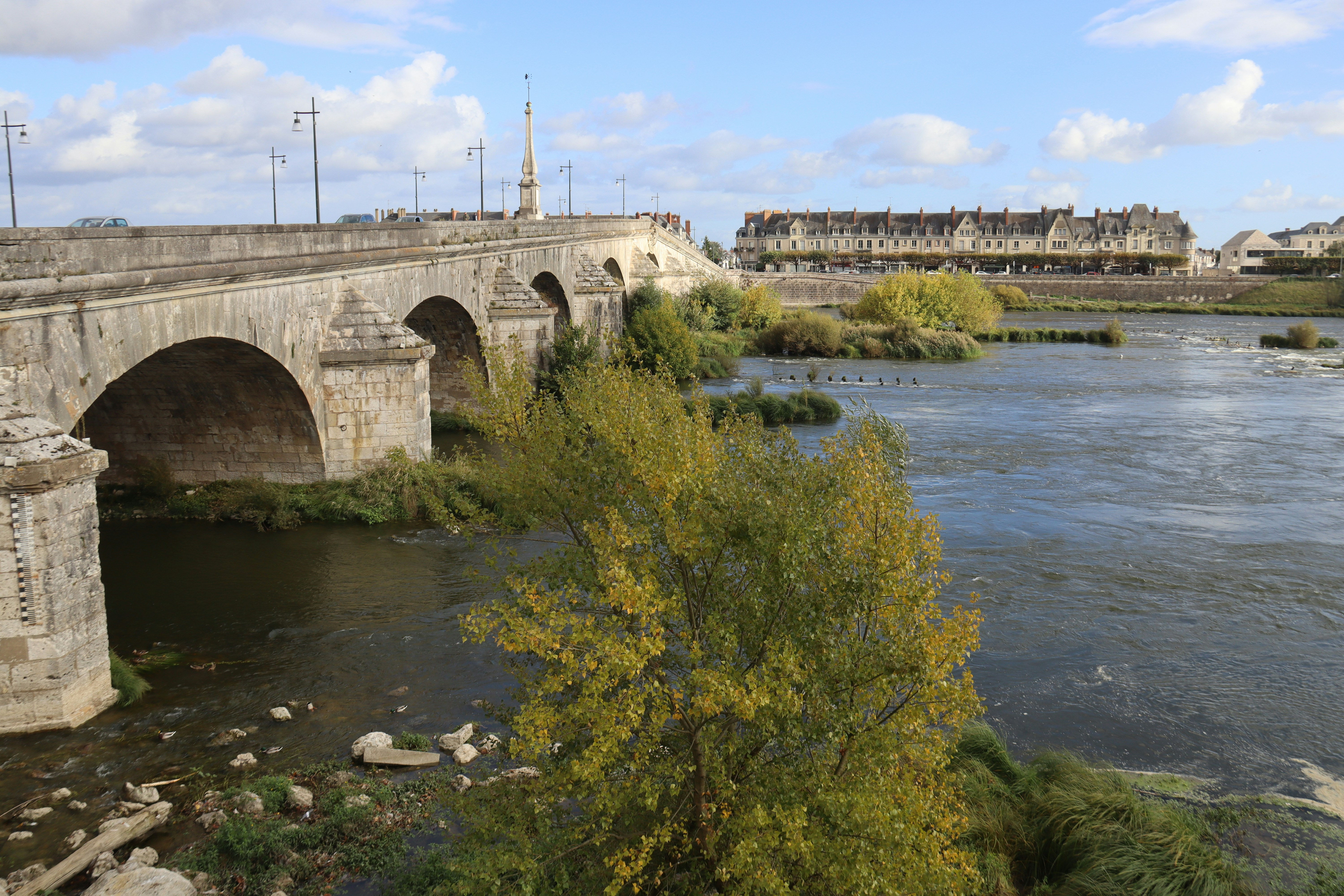 Photo by Shalev Cohen with Canon EOS 850D