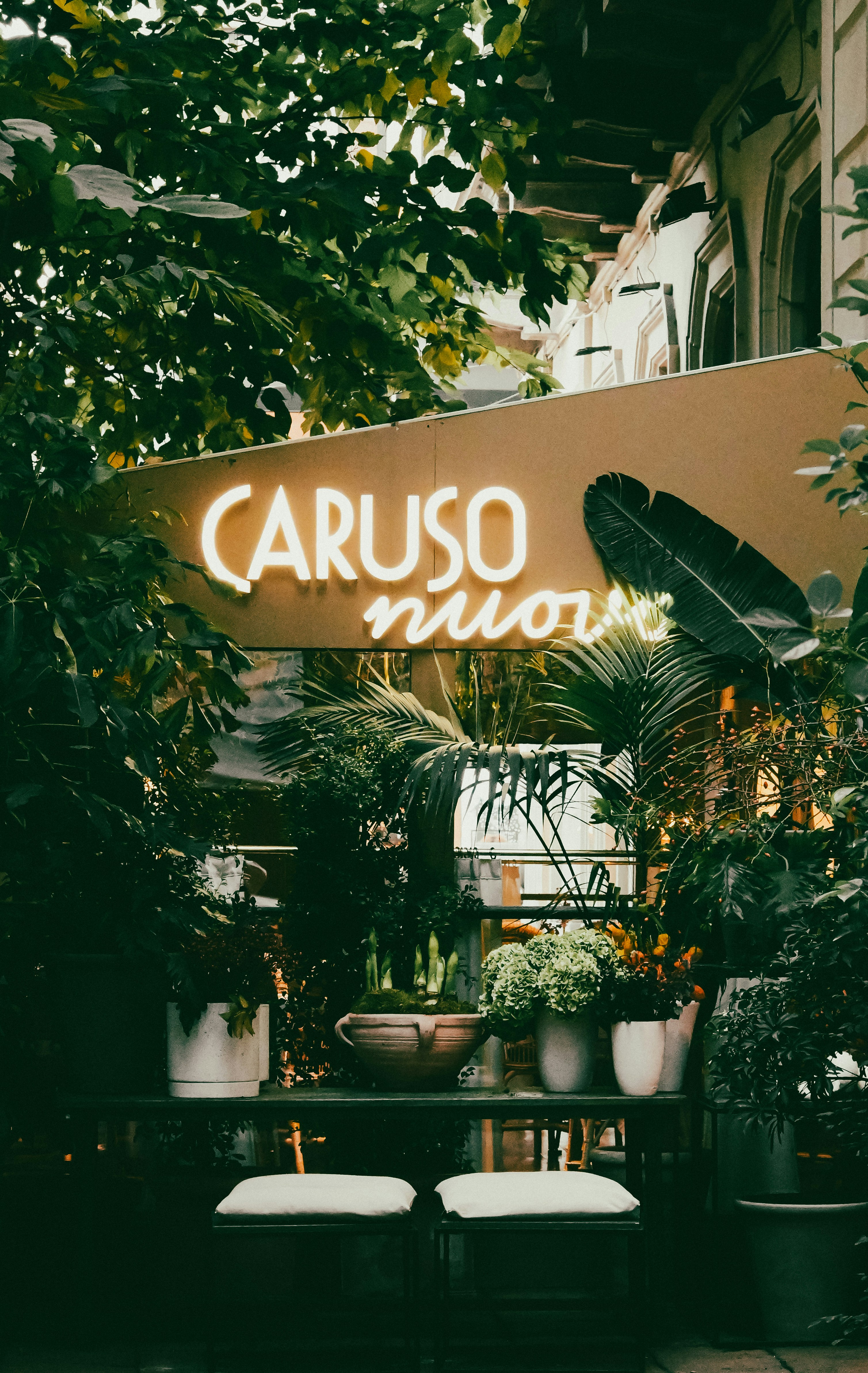 Photo by Ben sen with Nikon Z30