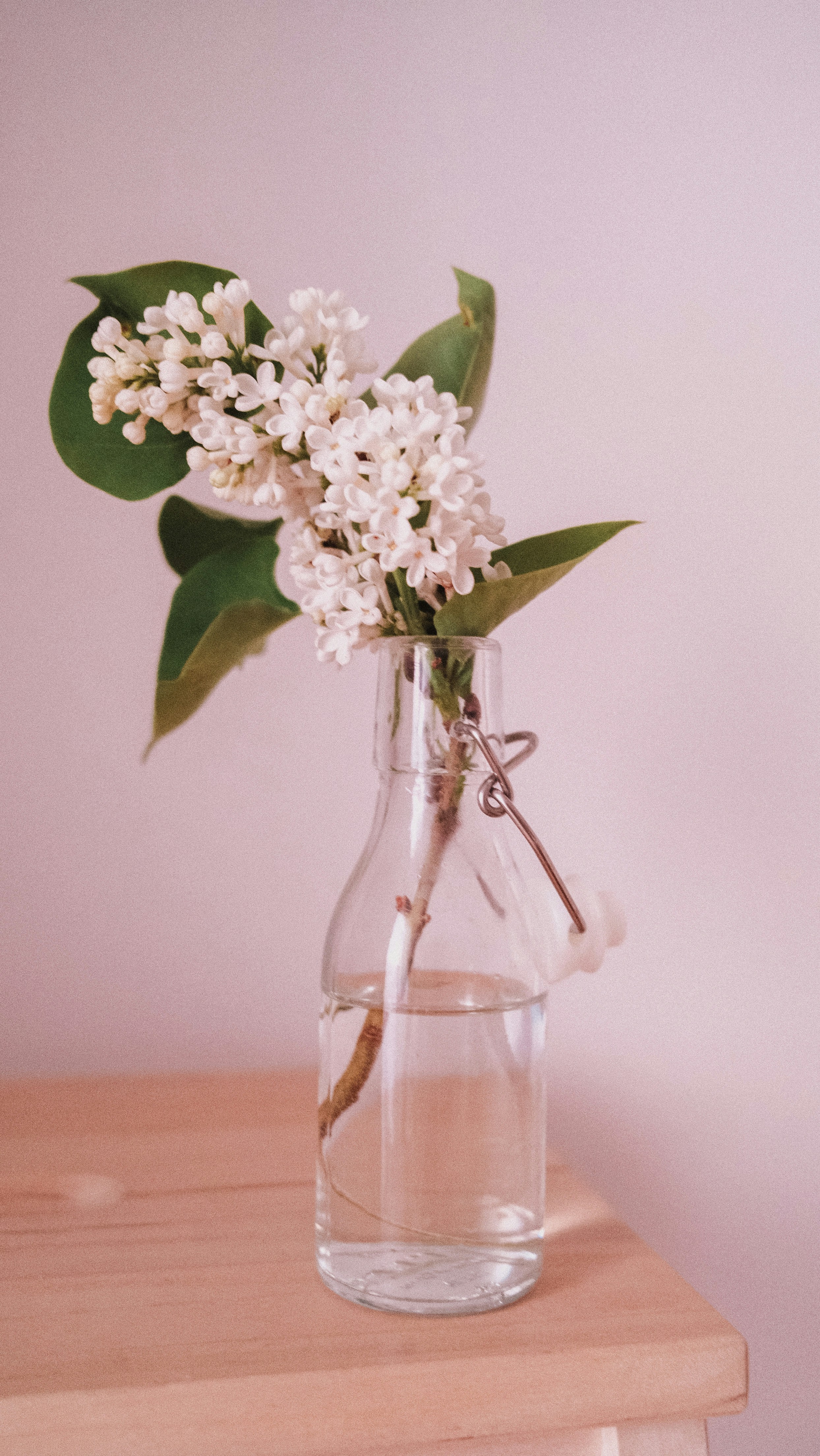 Photo by Julie Stan with Fujifilm X100V