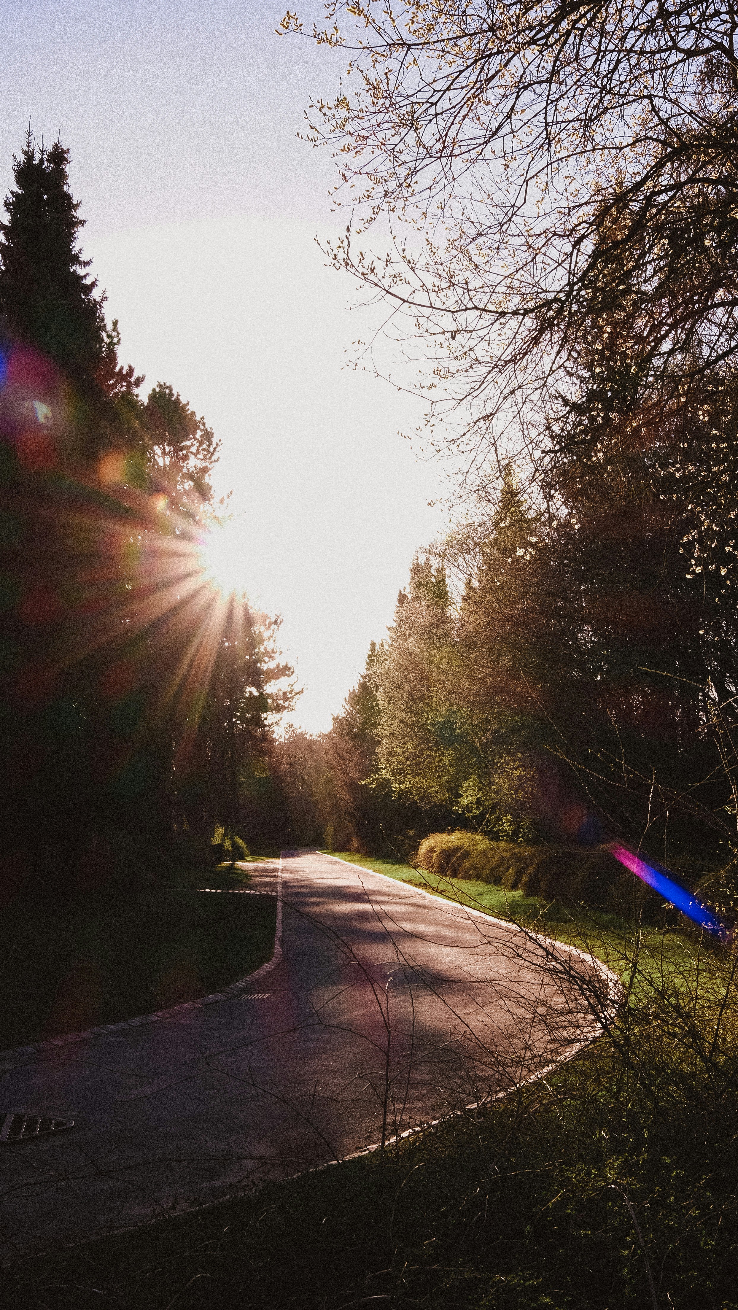 Sunburst on the Serpentine Path