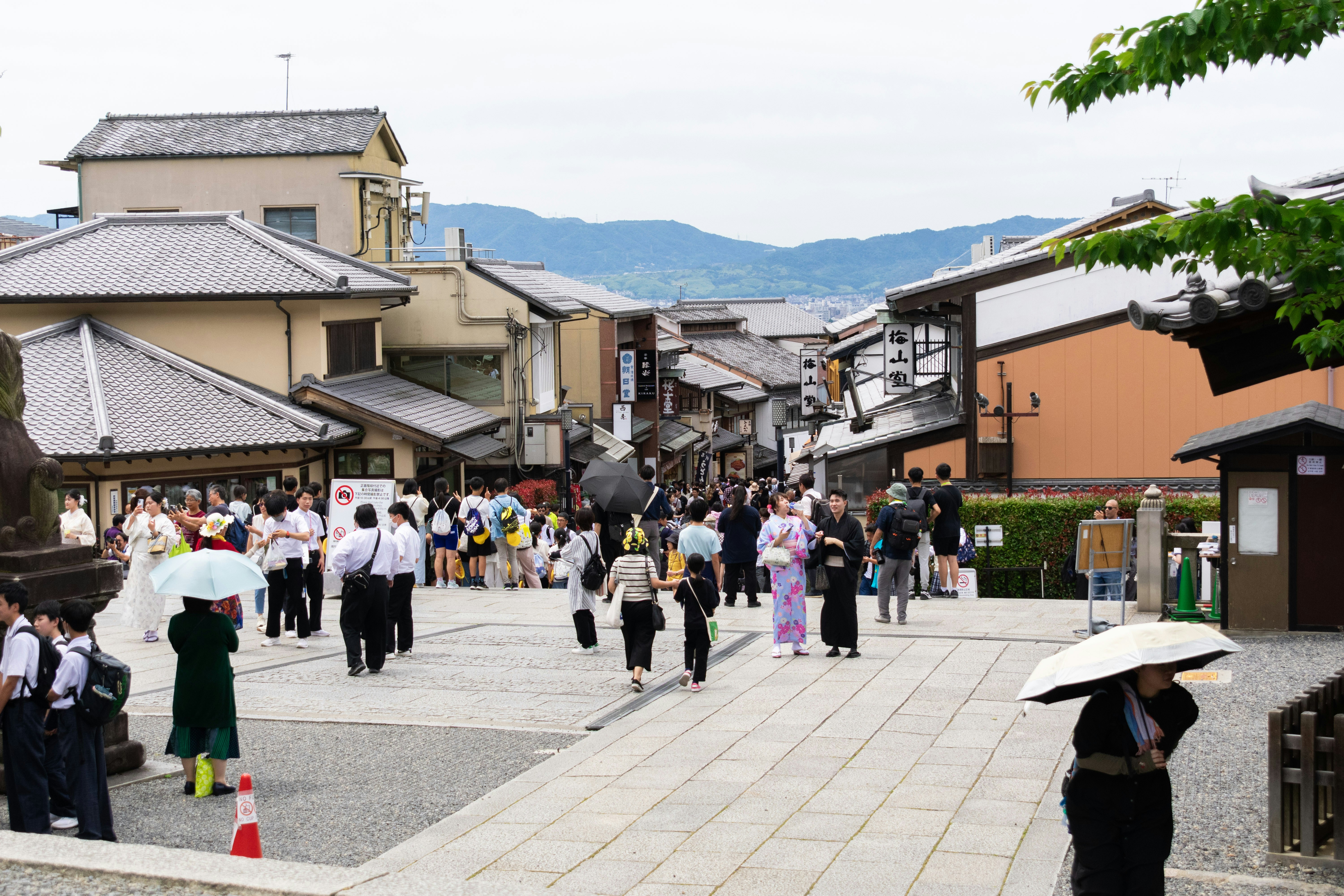 Photo by Robin Teng with Nikon D3400