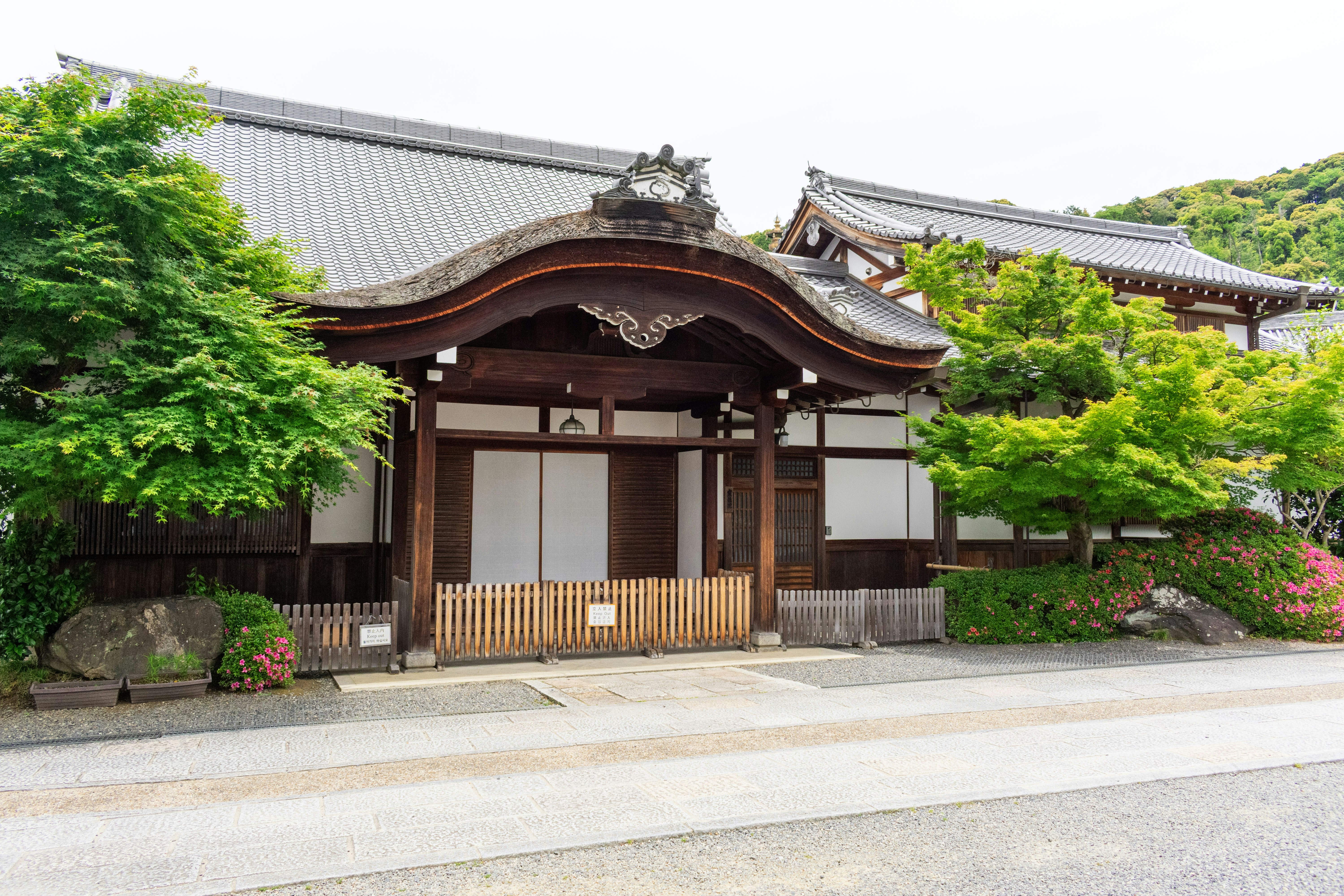 Photo by Robin Teng with Nikon D3400