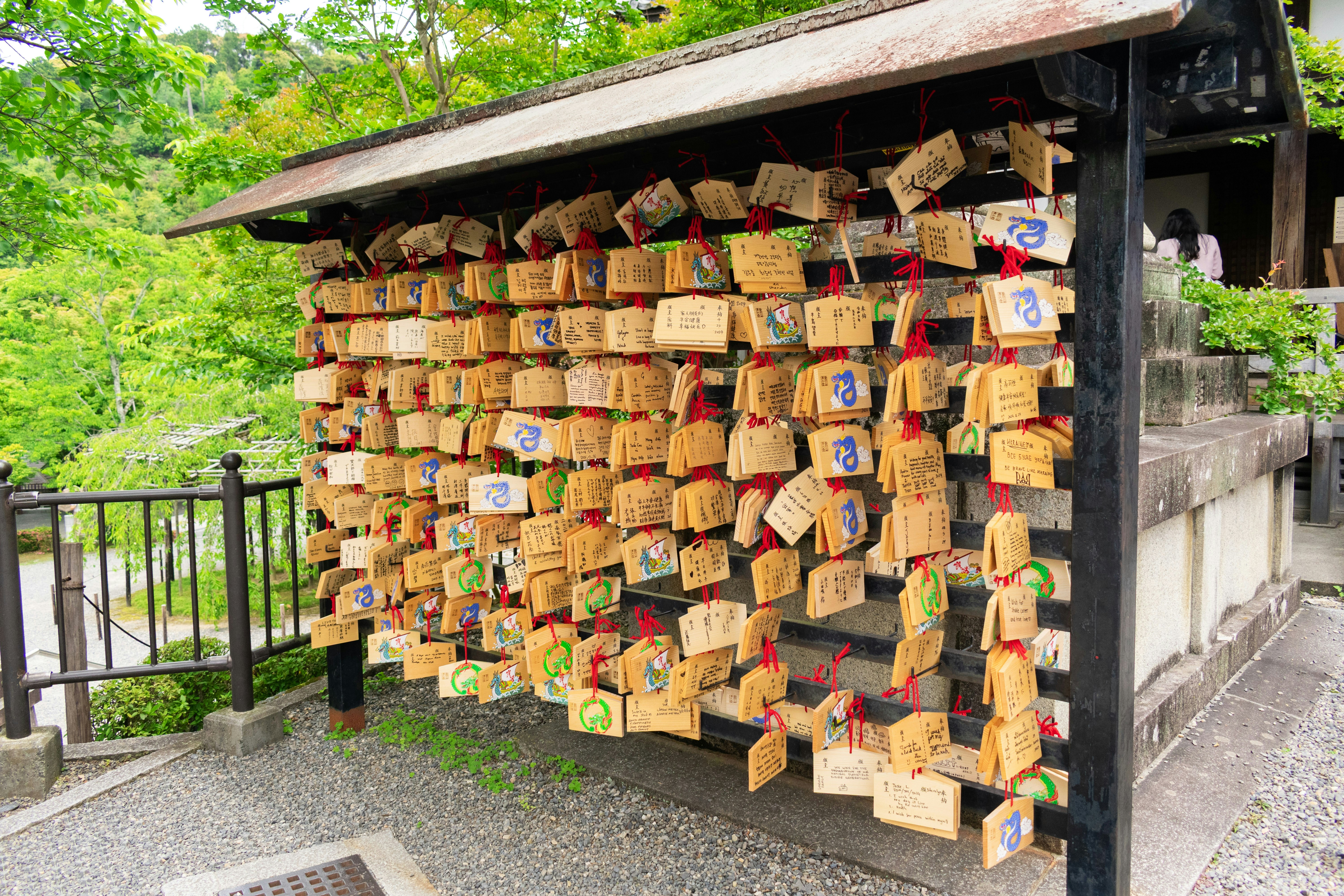 Photo by Robin Teng with Nikon D3400