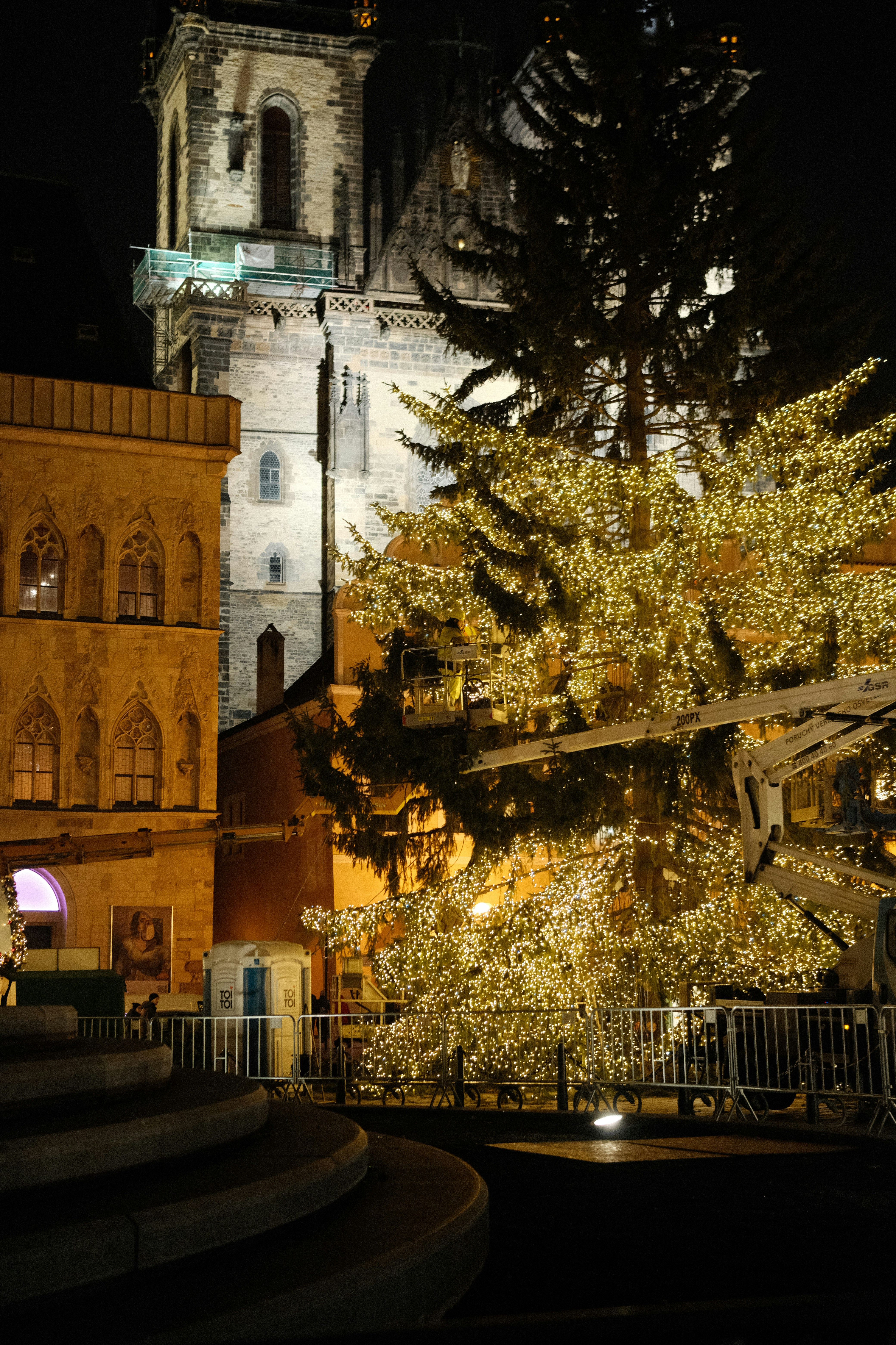 Illuminated Christmas Tree Framed by Historic Architecture at Night