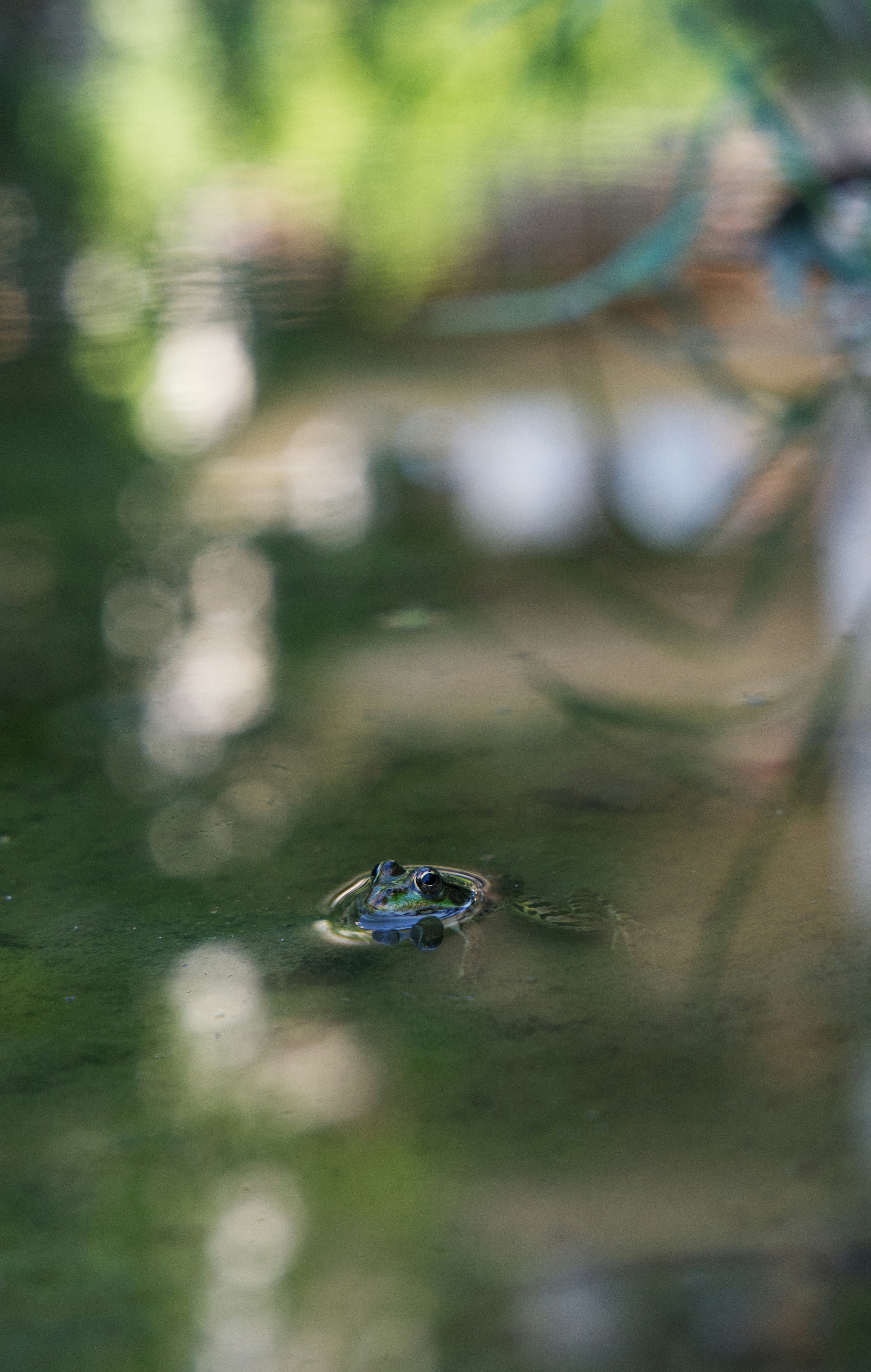 Photo by Yaroslav Rivny with Sony Alpha 7R II