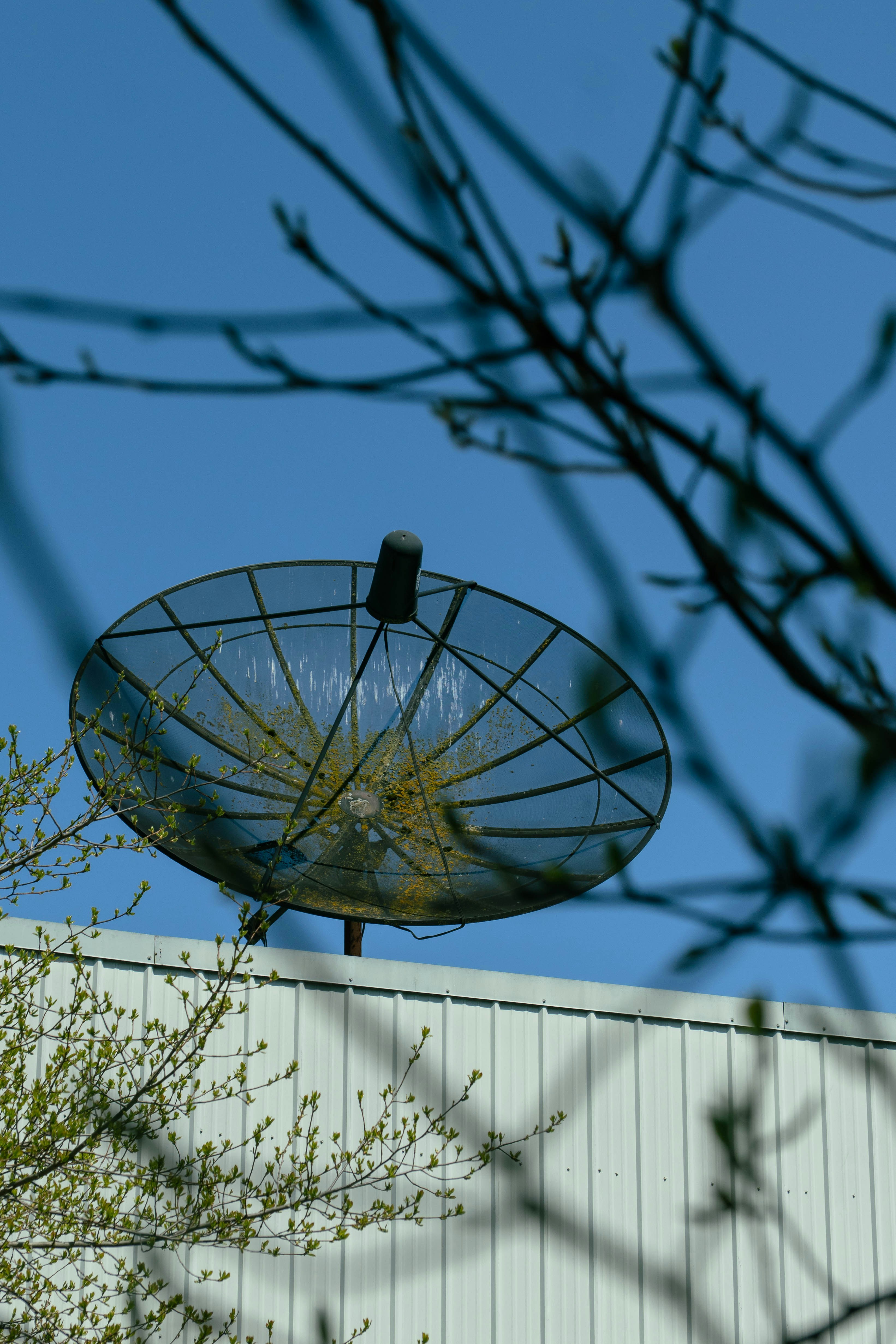 Satellite Dish Silhouette Against a Clear Noon Sky