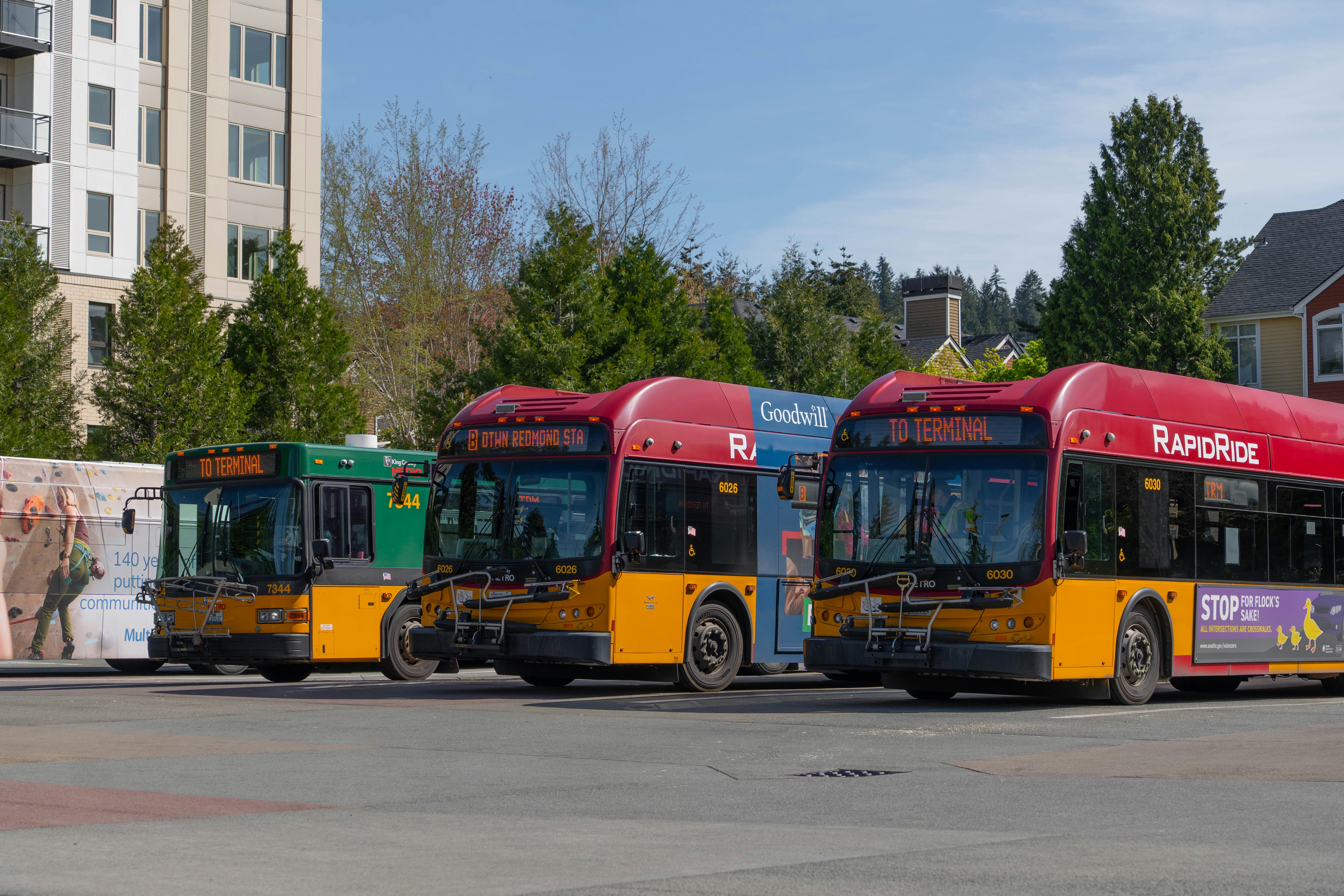 Row of Transit Reds: Buses Resting in the Campus Shuttle Lot