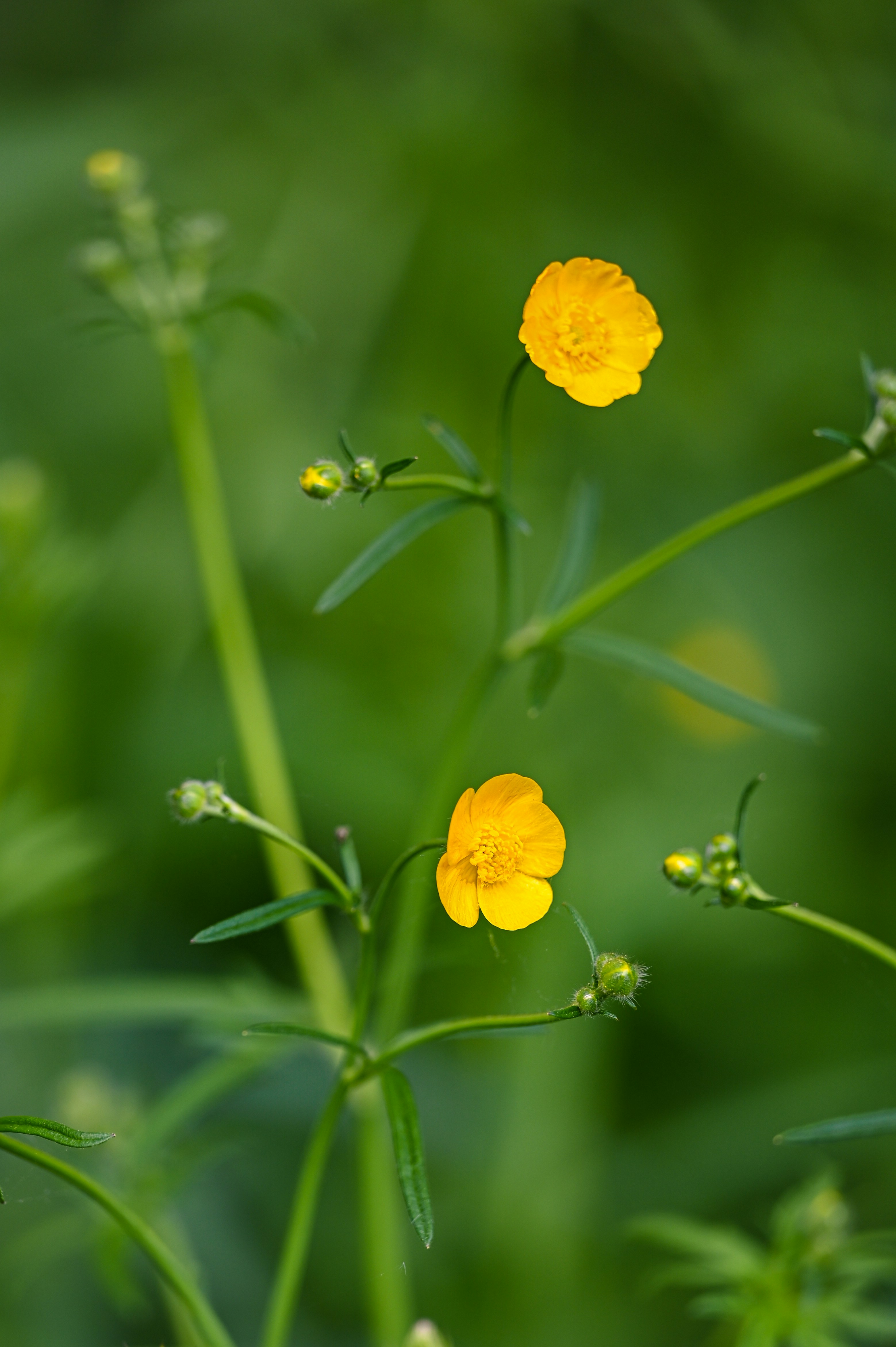 Arjun Venugopal (@avgs) | Unsplash Photo Community