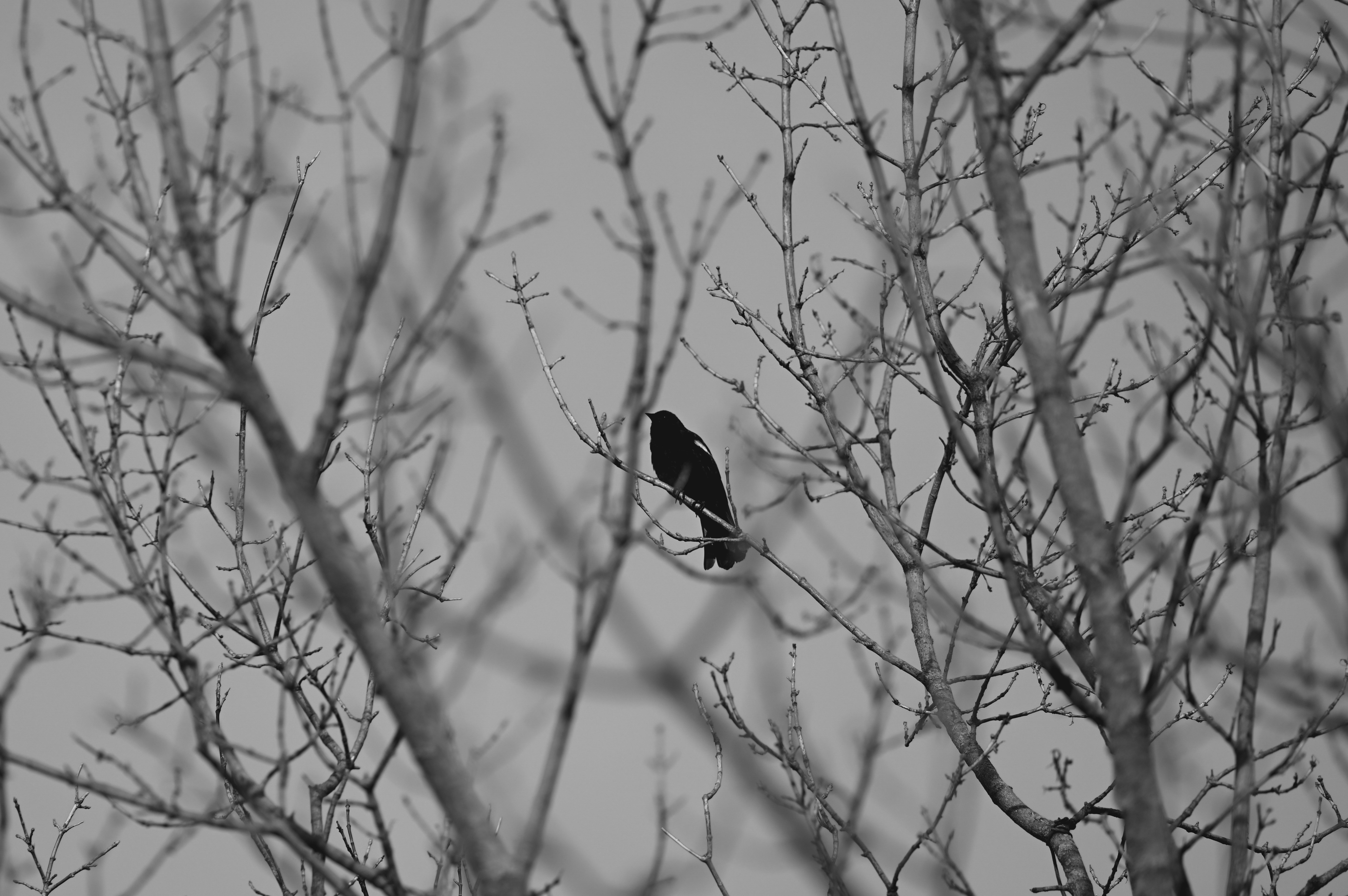 Arjun Venugopal (@avgs) | Unsplash Photo Community