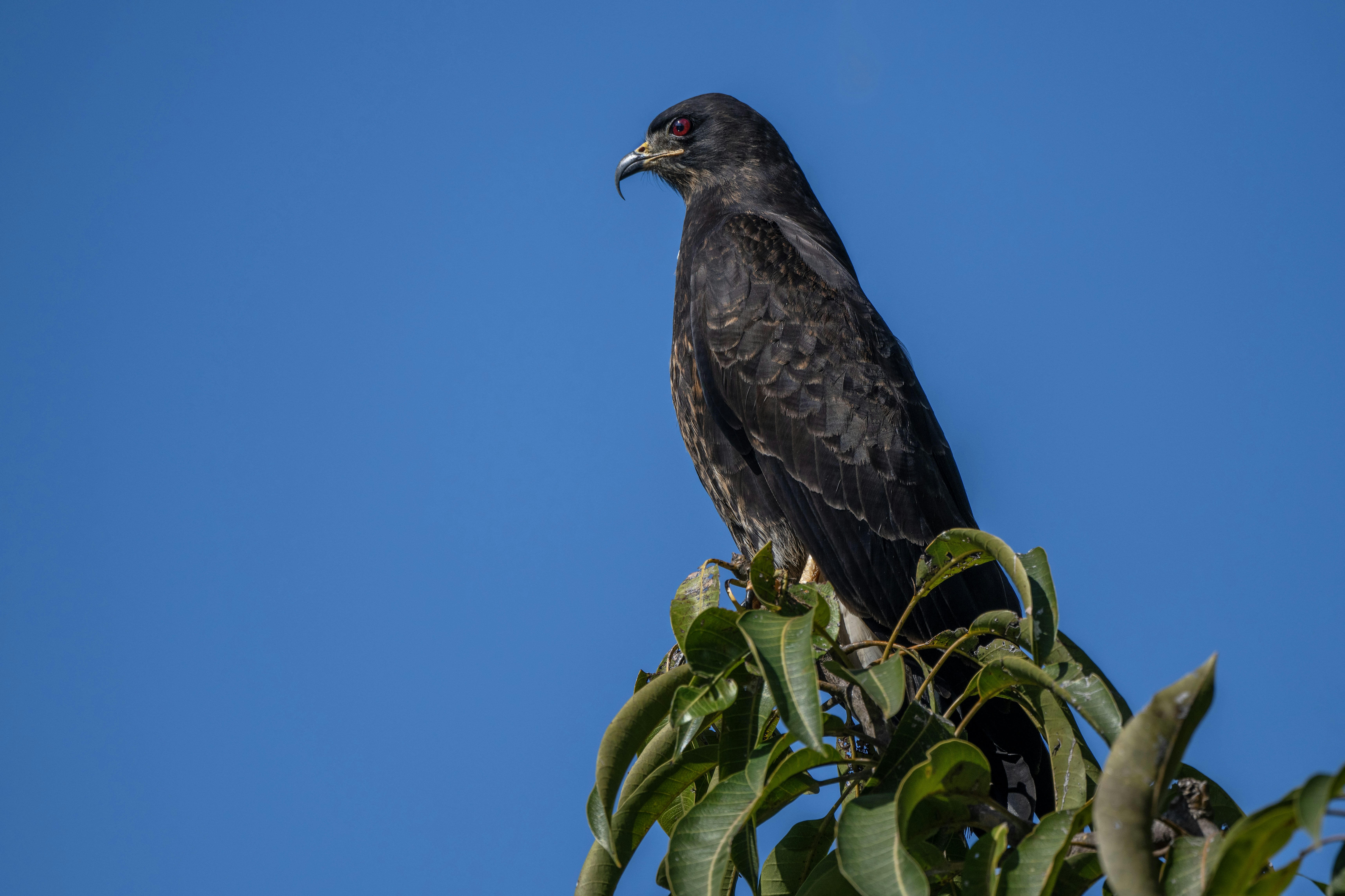 Photo by sergio fernandes with Nikon D850