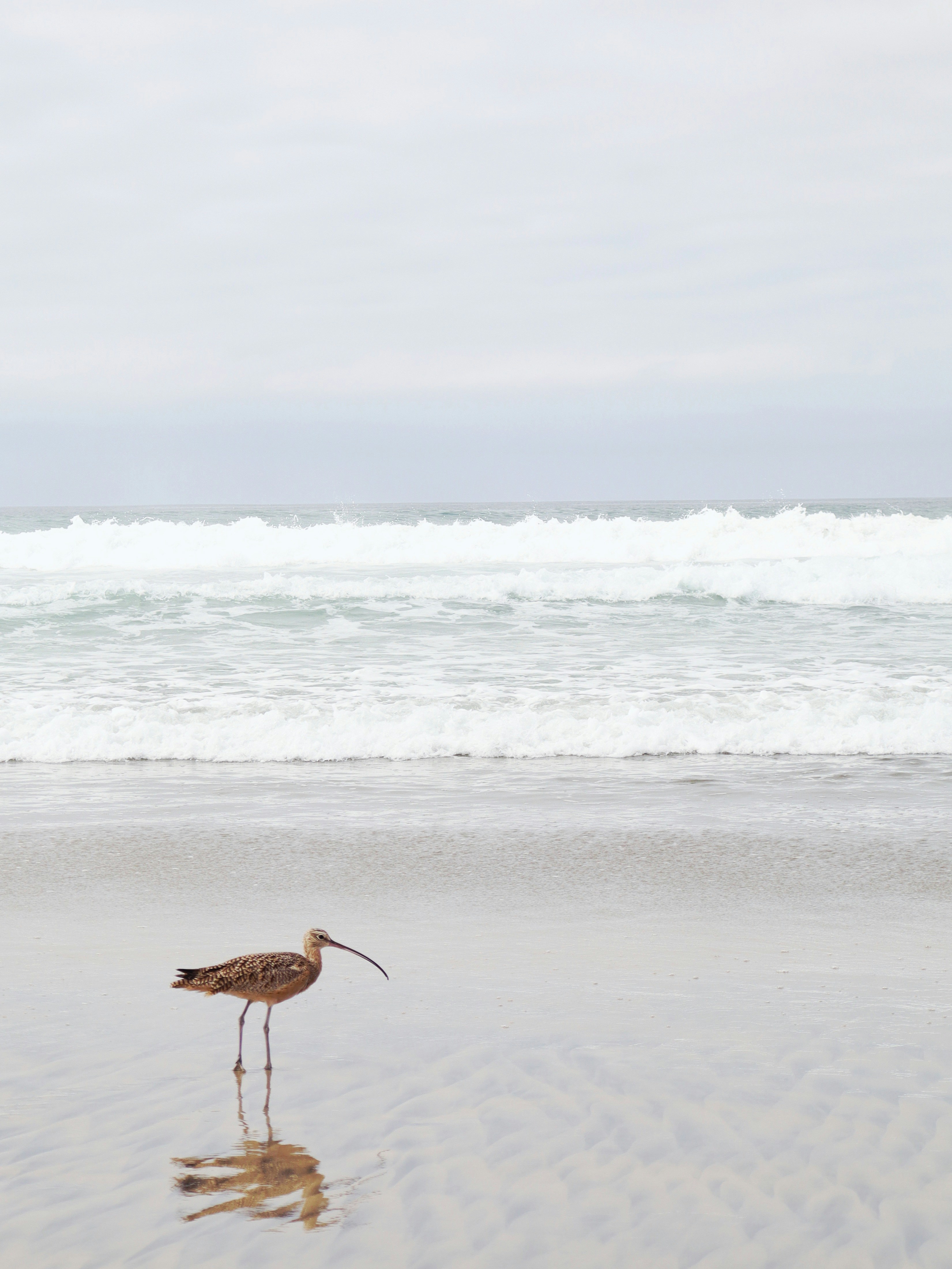 Photo by Chloe with Canon EOS R100