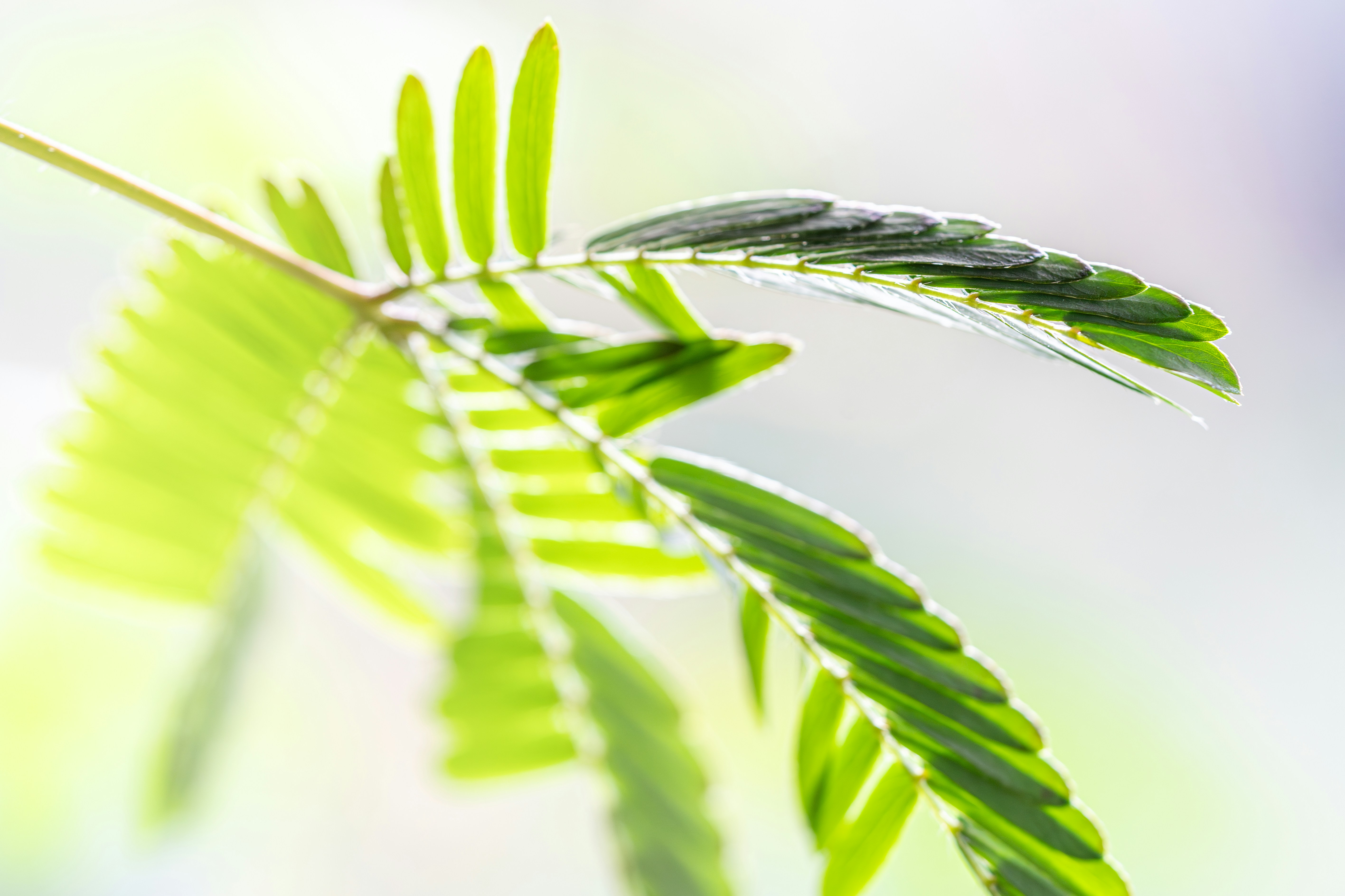 Photo by Winston Chen with Sony Alpha 7 III