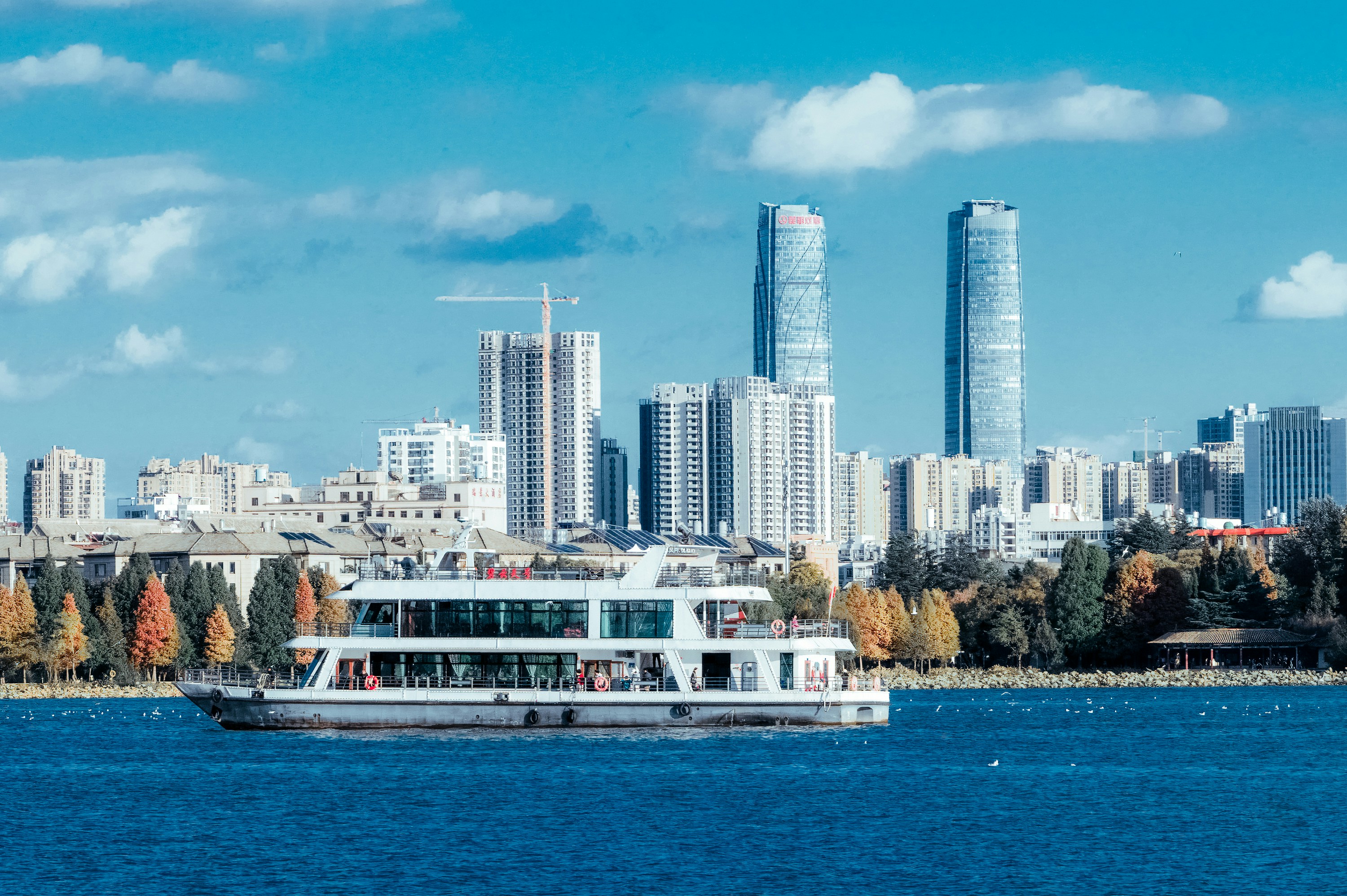 City Lights on the Water: A Passenger Boat gliding past a modern skyline