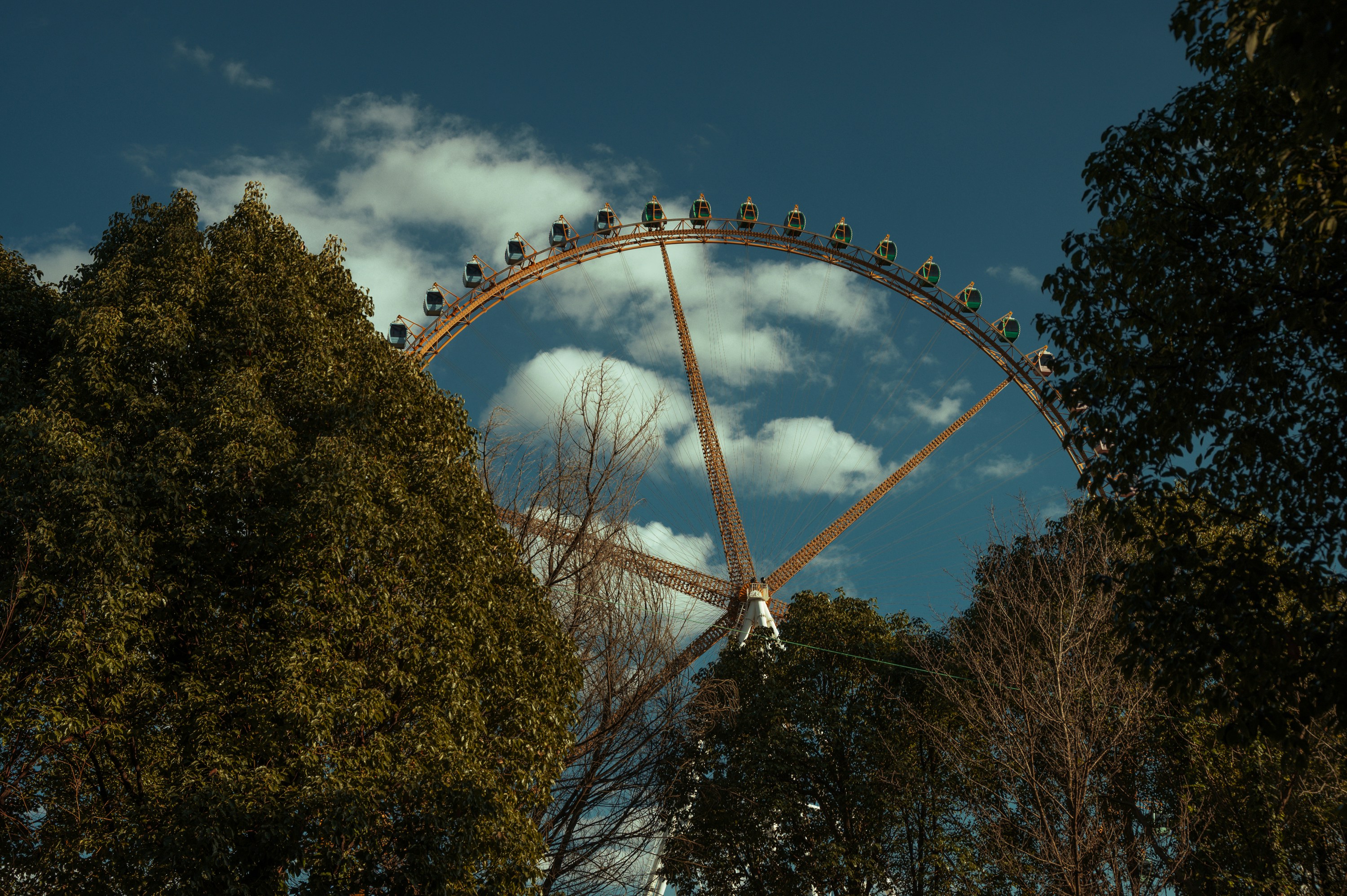 Circling Glass: The Skyline Wheel Quietly Arches Above Trees