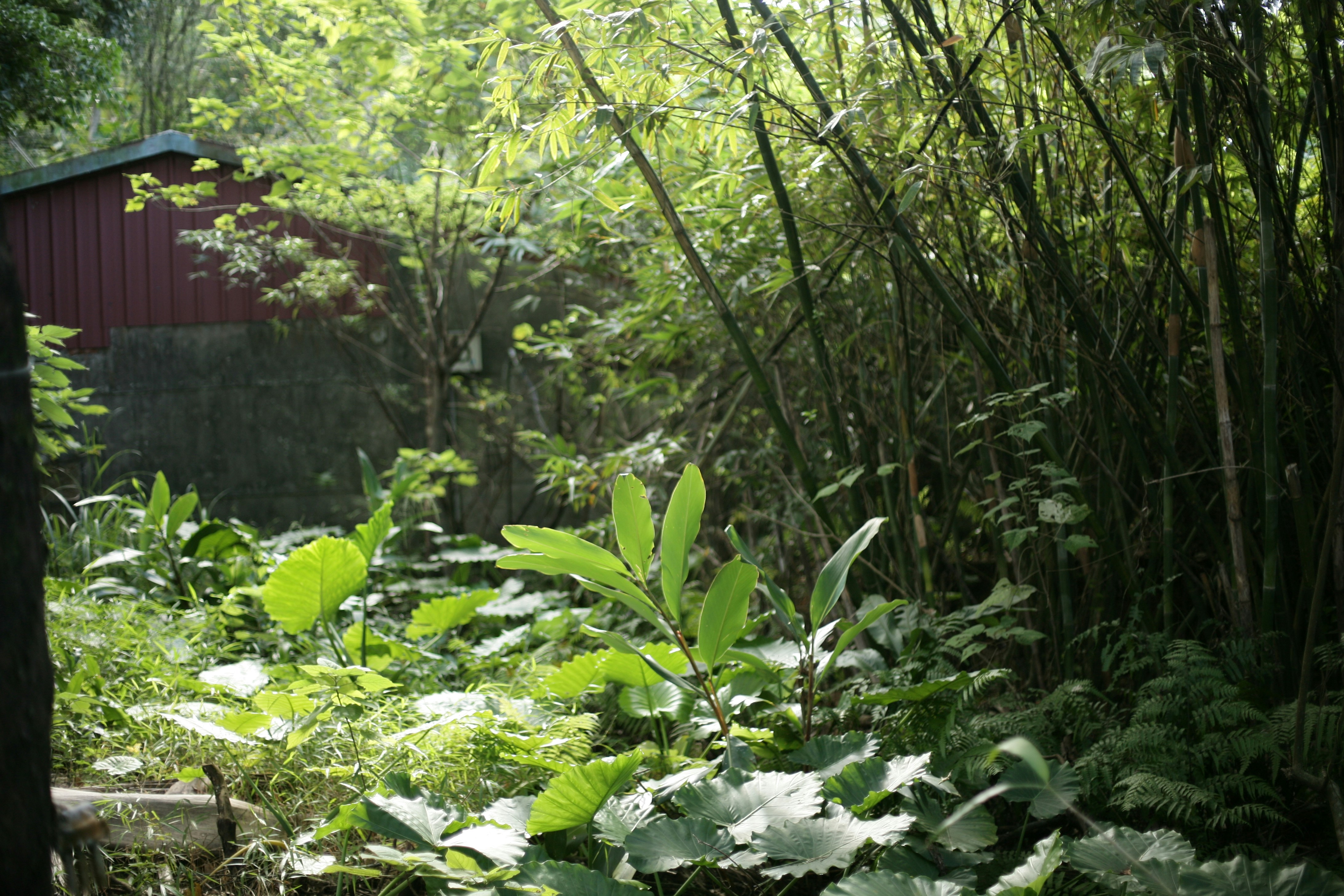 Photo by MChe Lee with CANON EOS 5D