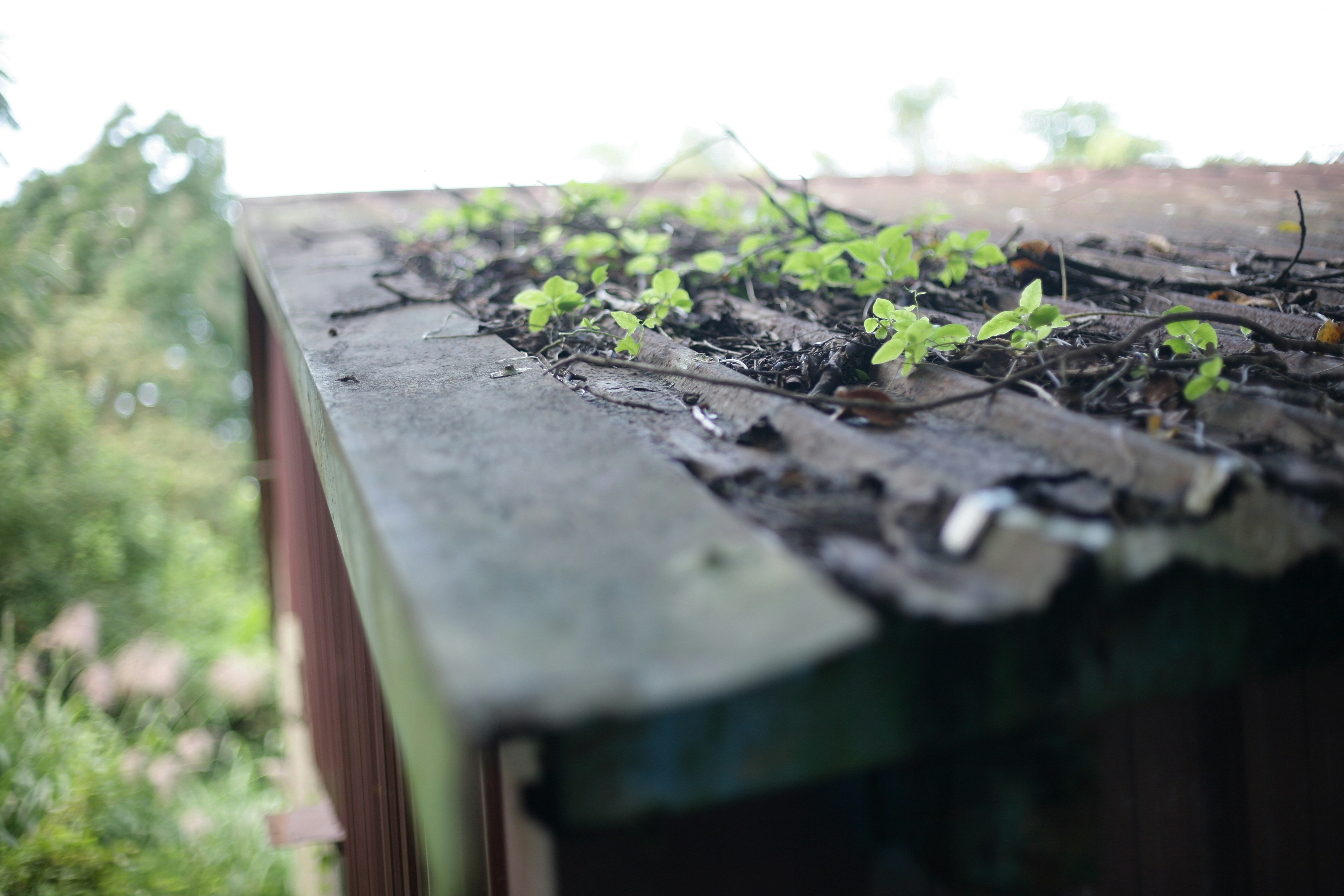 Photo by MChe Lee with CANON EOS 5D