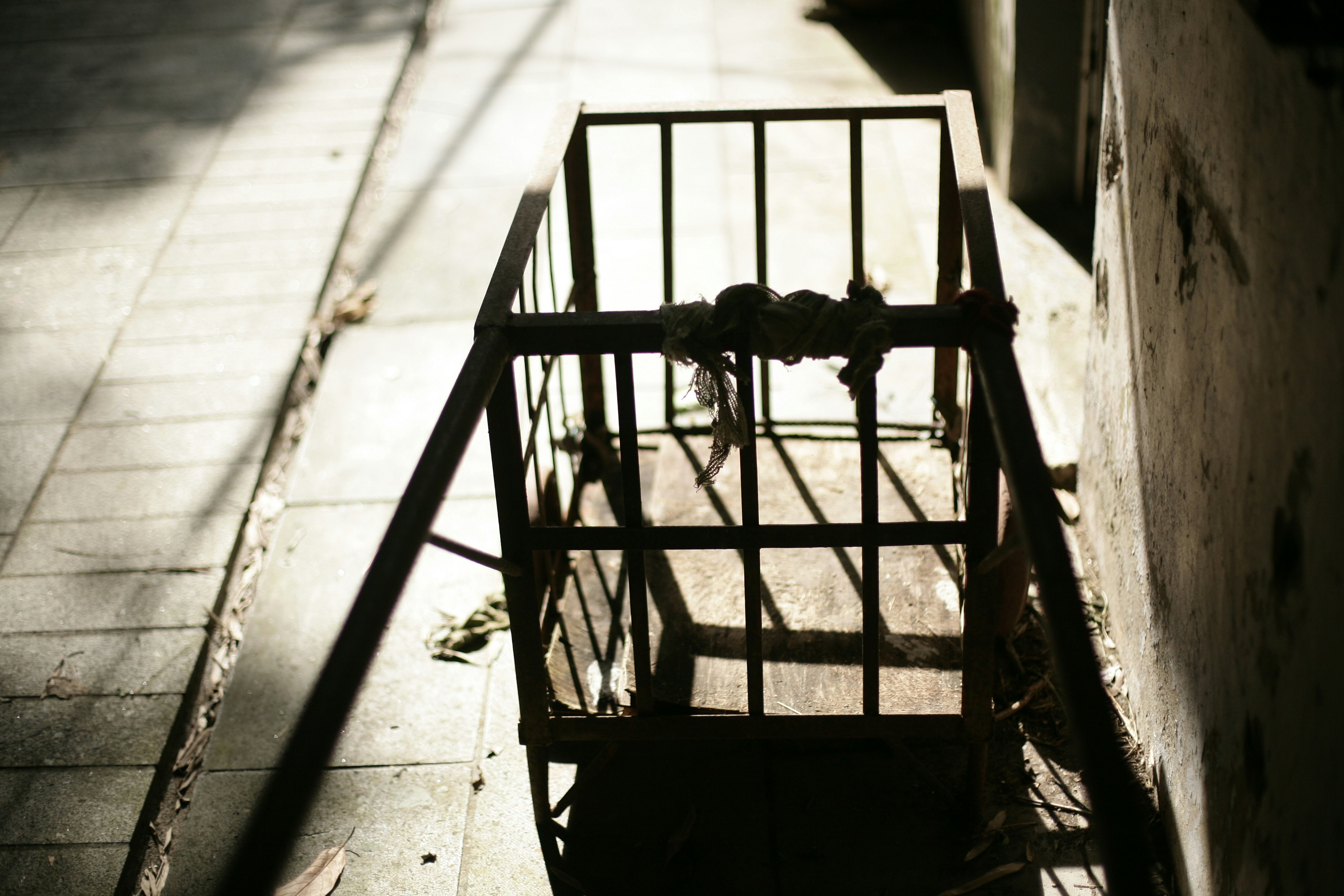 Photo by MChe Lee with CANON EOS 5D