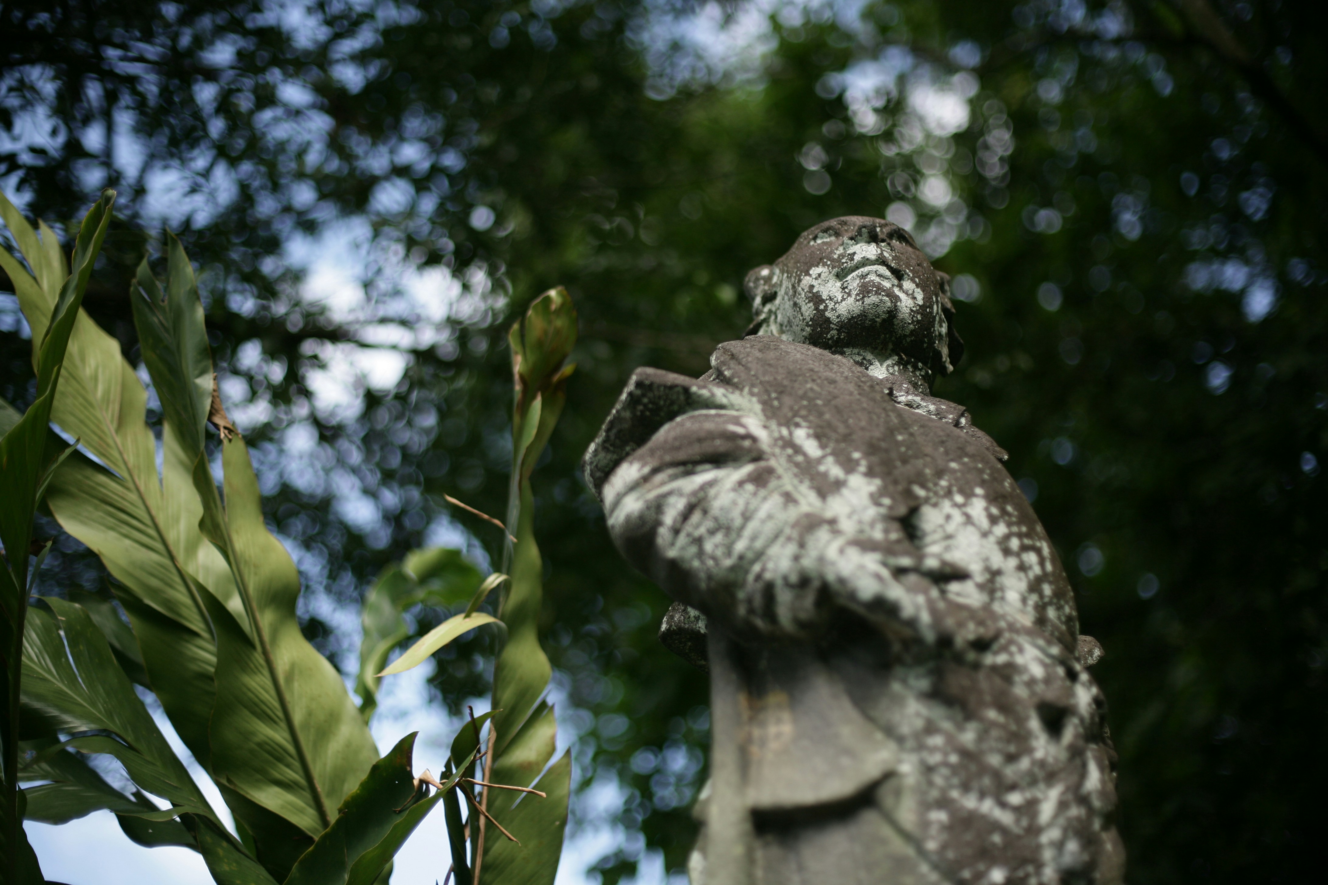 Weathered Sentinel: A Moss-Covered Statue Reaching for the Sky