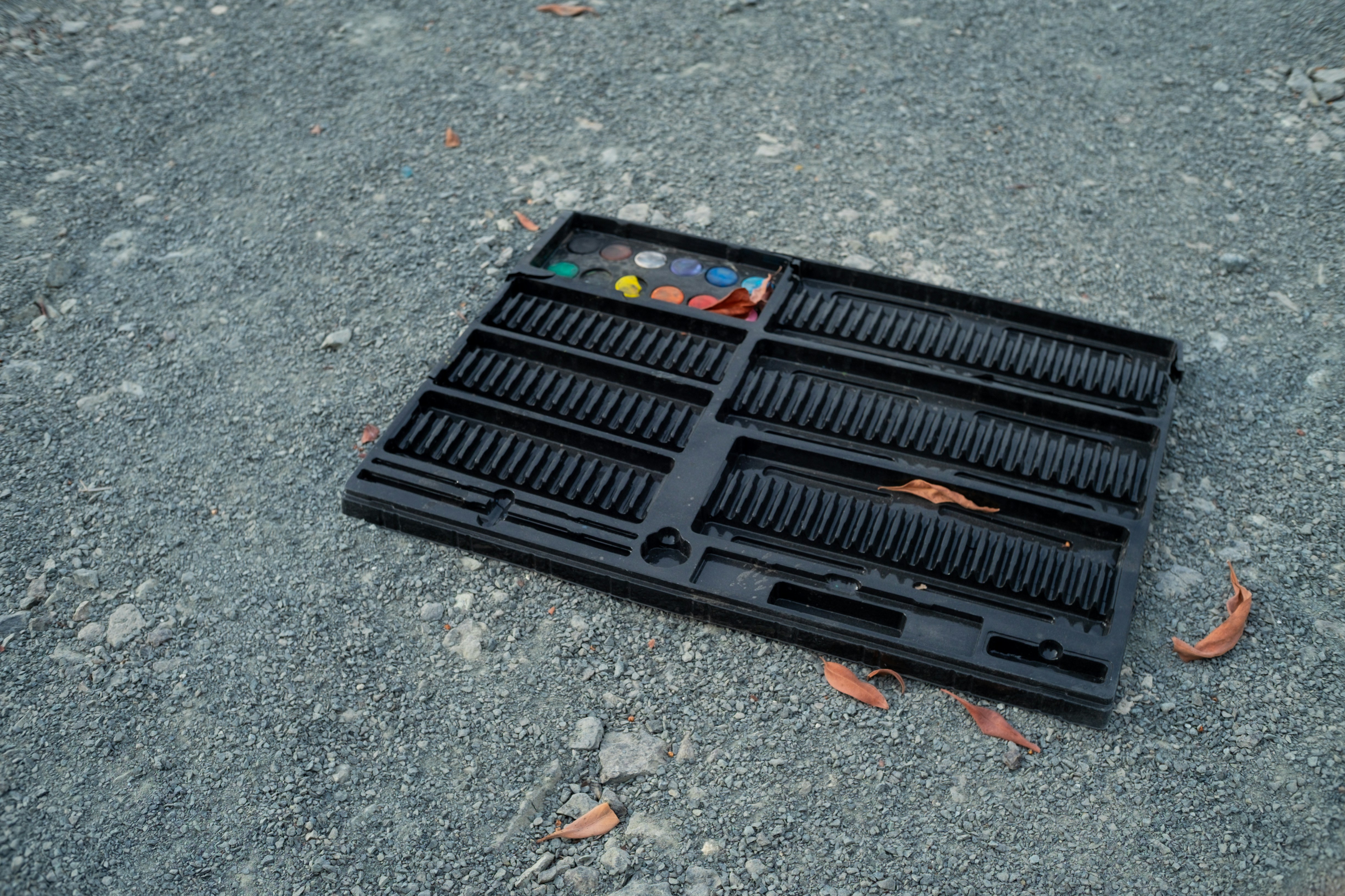 Photo by Vanburn Gonsalves with Fujifilm X-T10