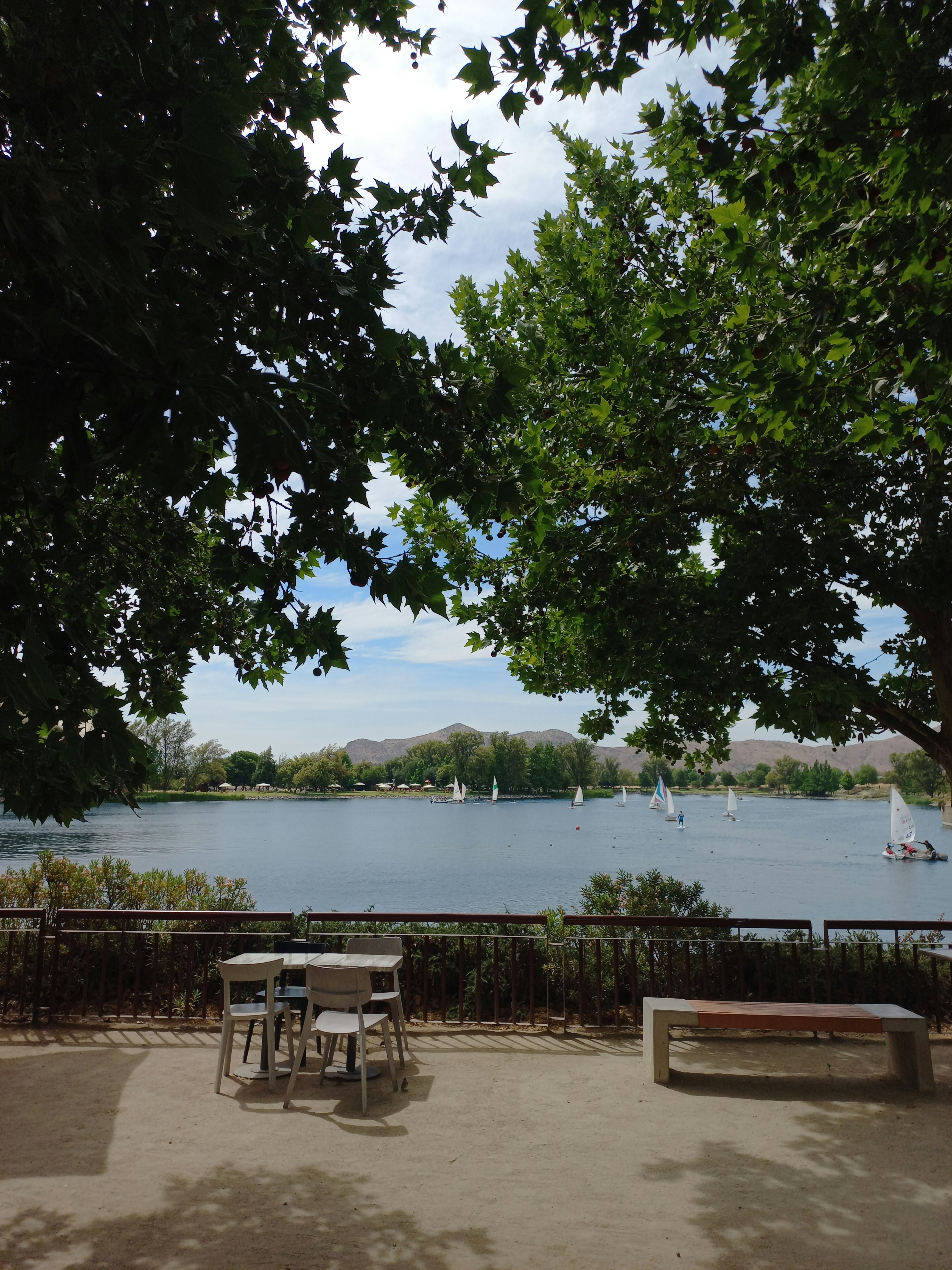 Lakeside Terrace Beneath a Canopy of Green