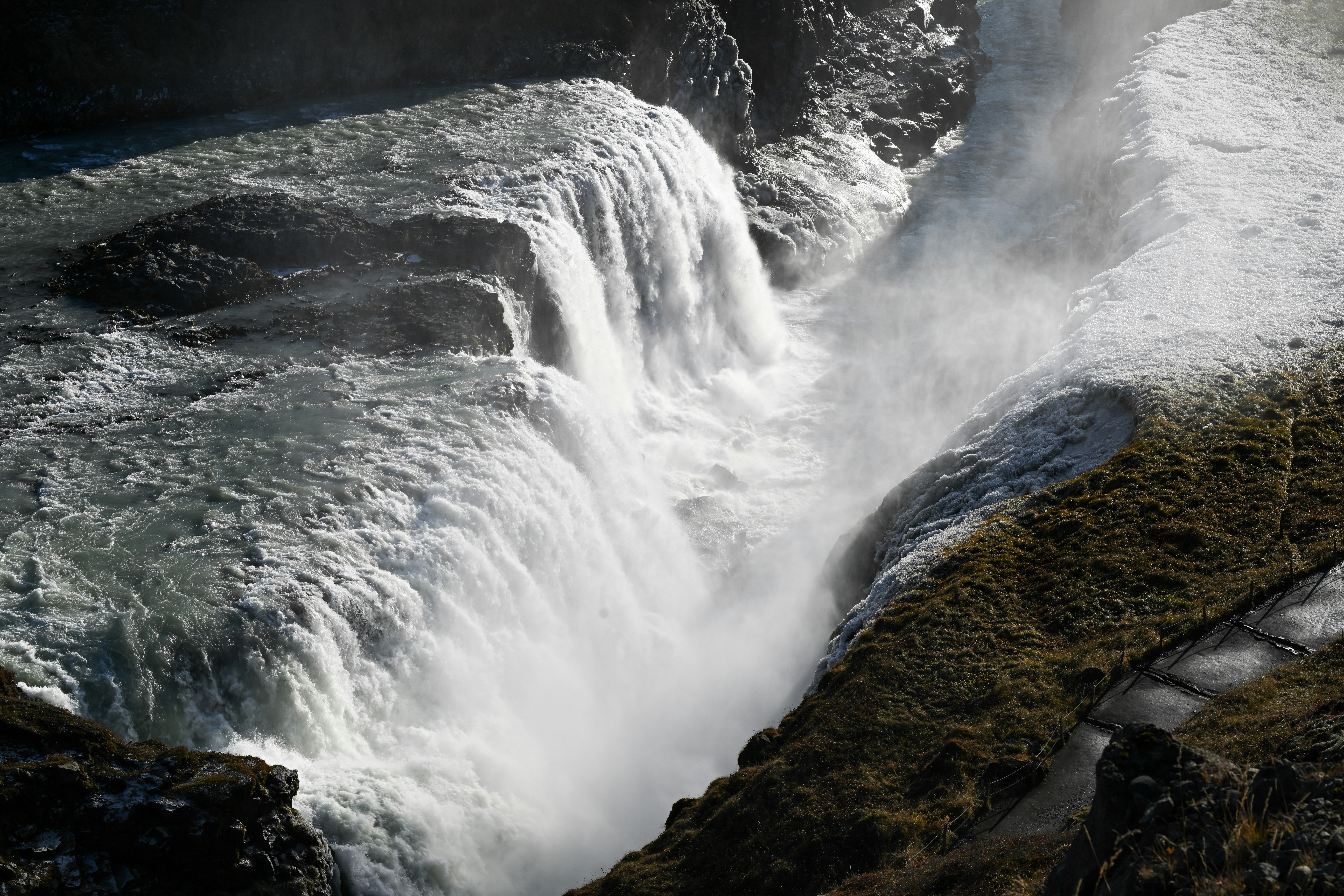 Photo by SOHAM BANERJEE with Nikon Z8