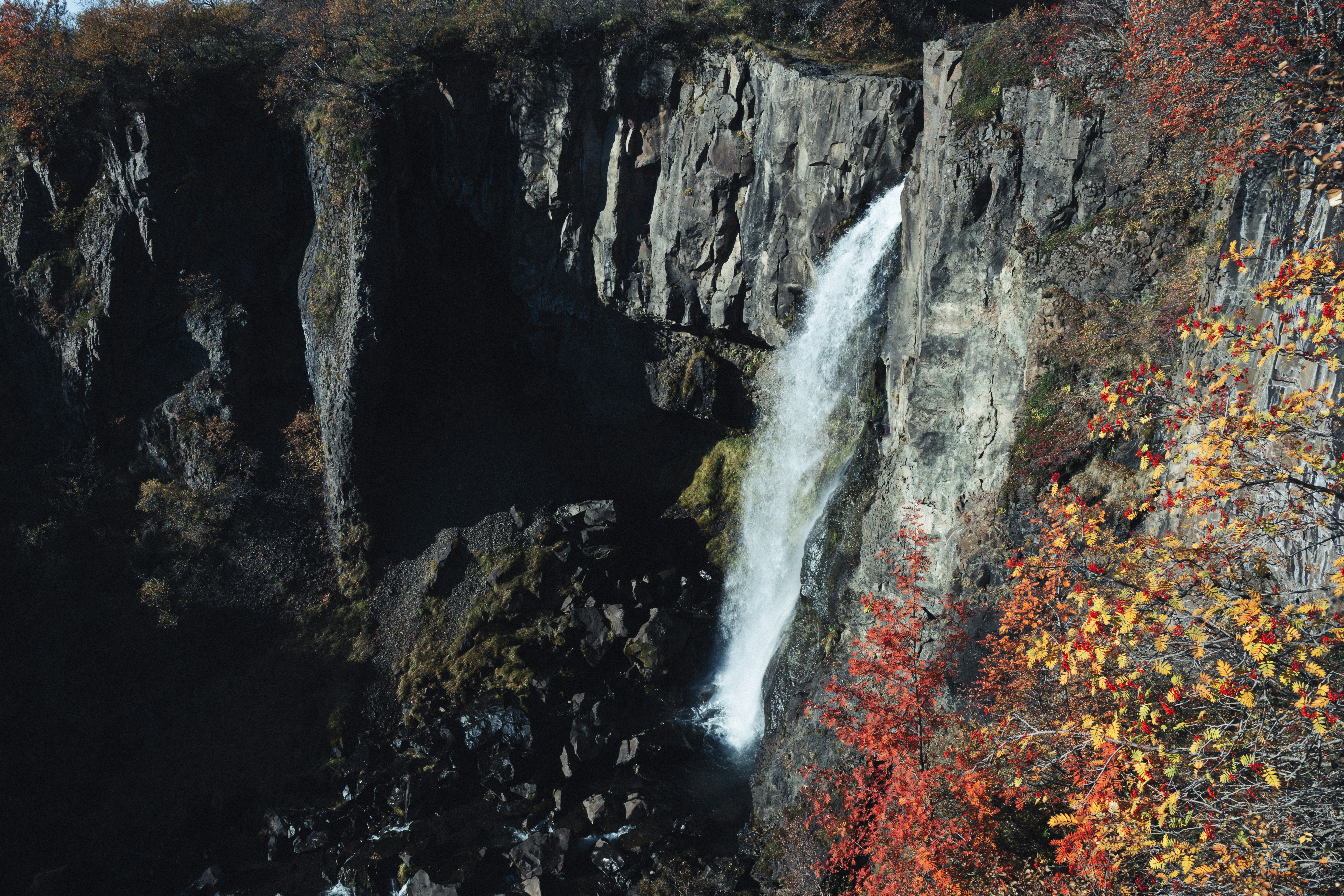 Autumn Cascade: A Narrow Waterfall Framed by Crimson Foliage