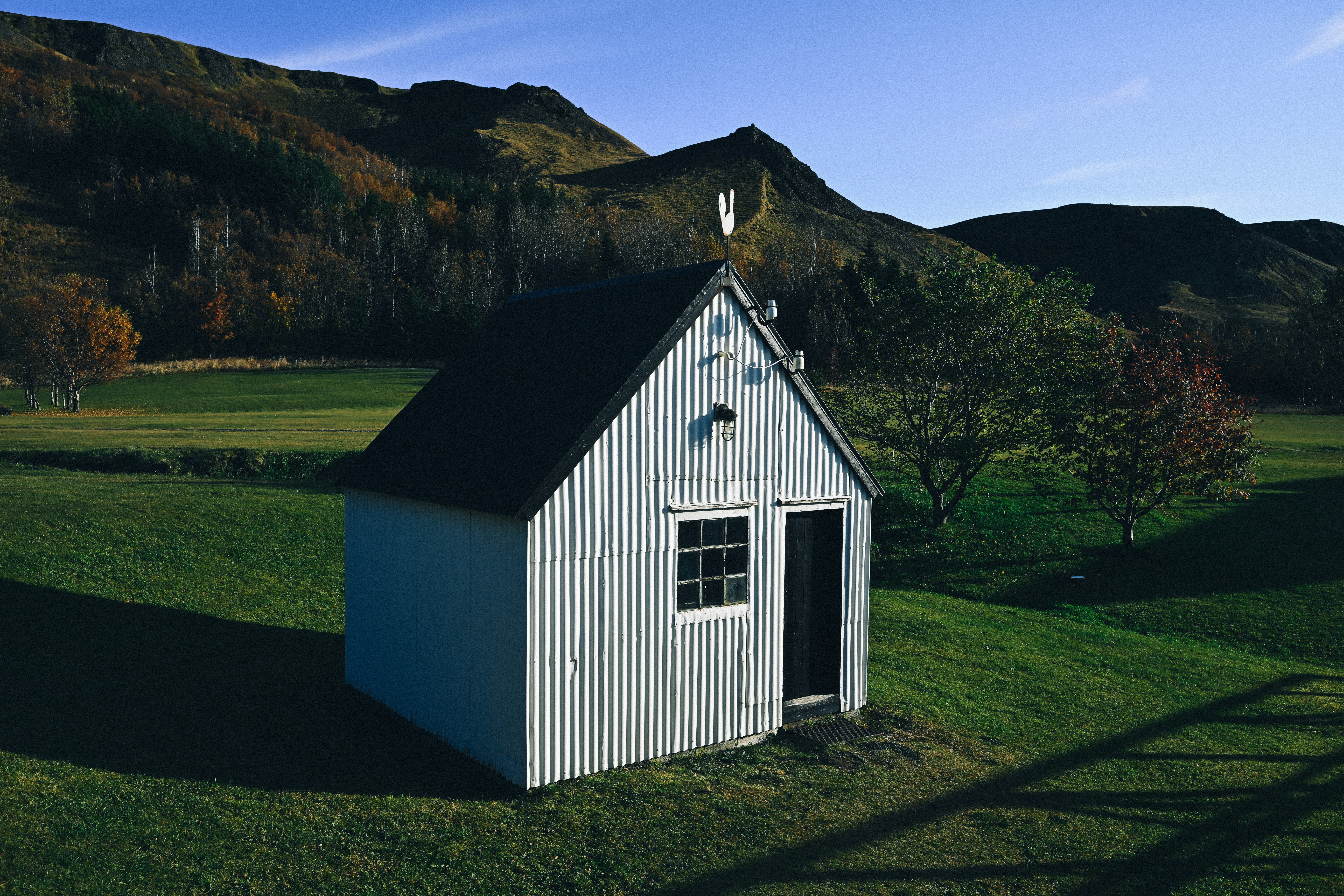 Photo by SOHAM BANERJEE with Nikon Z8