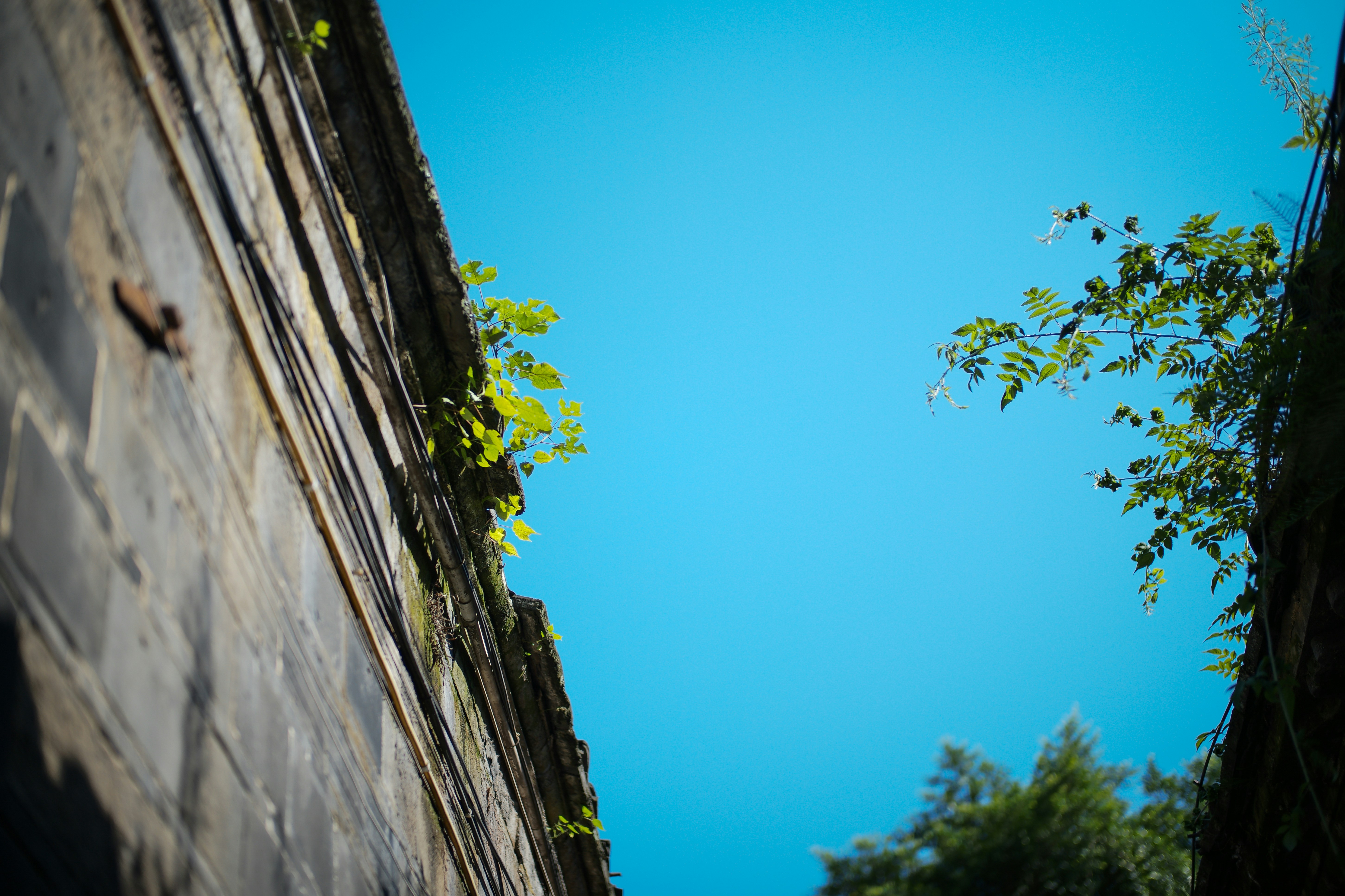 Skyward Between Weathered Walls