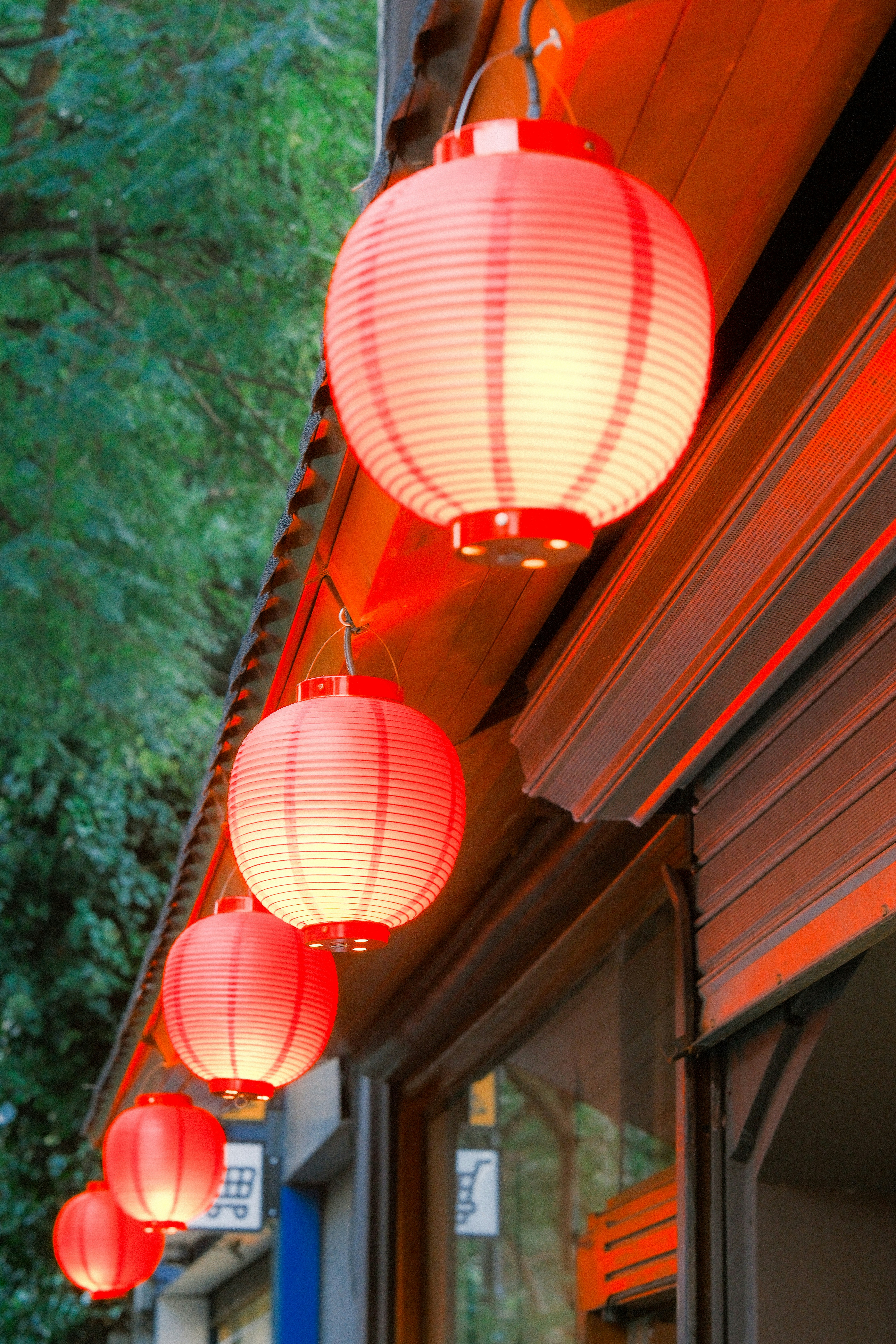 Lantern Path: Red Orbs Along a Shaded Corridor